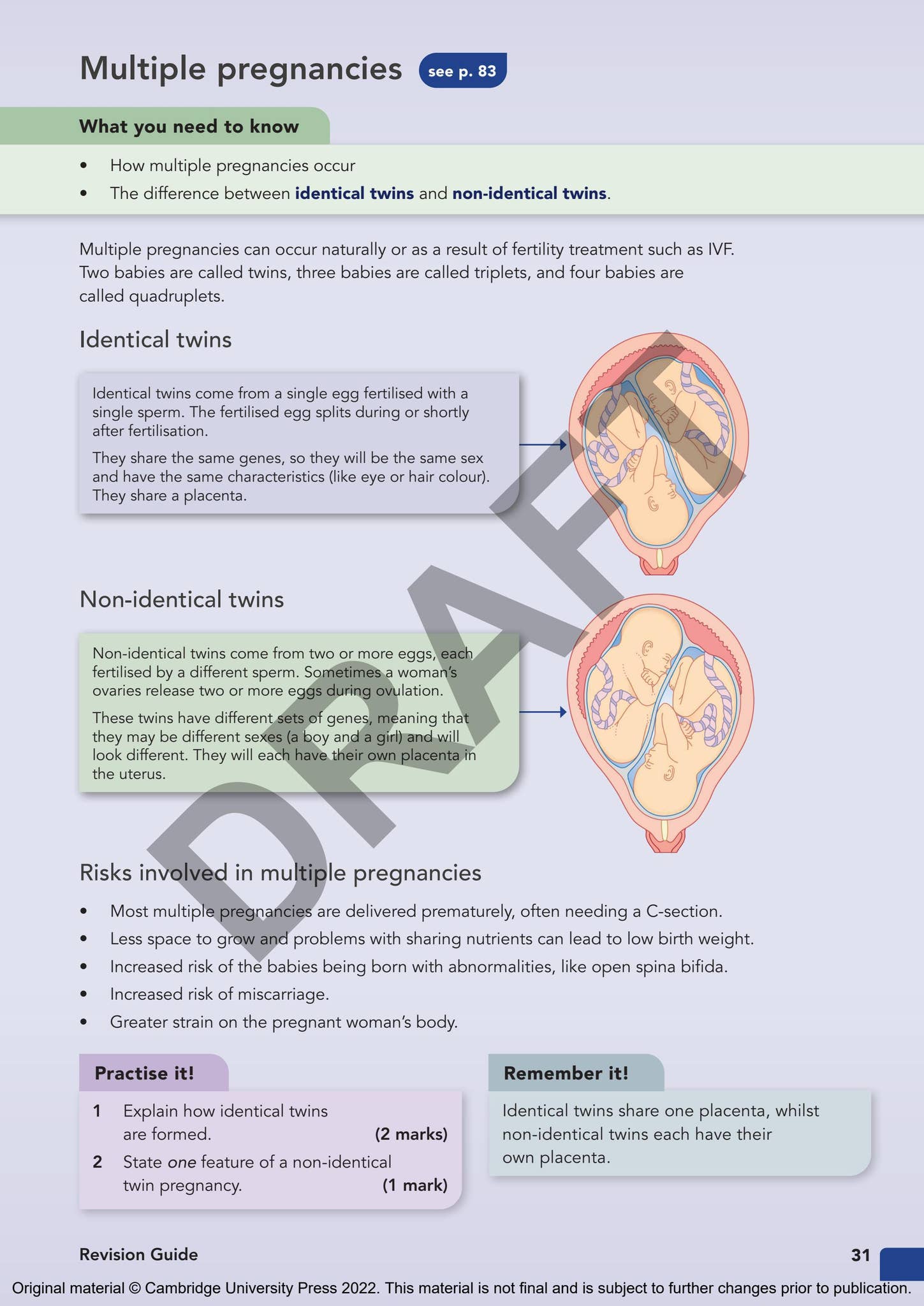 Cambridge Nationals Child Development Revision Guide Issuu Sample by ...