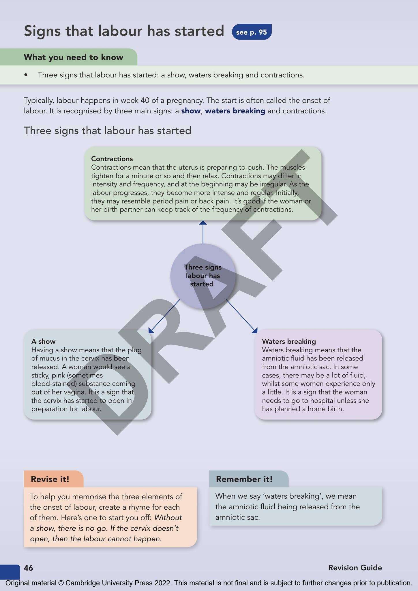 Cambridge Nationals Child Development Revision Guide Issuu Sample by ...