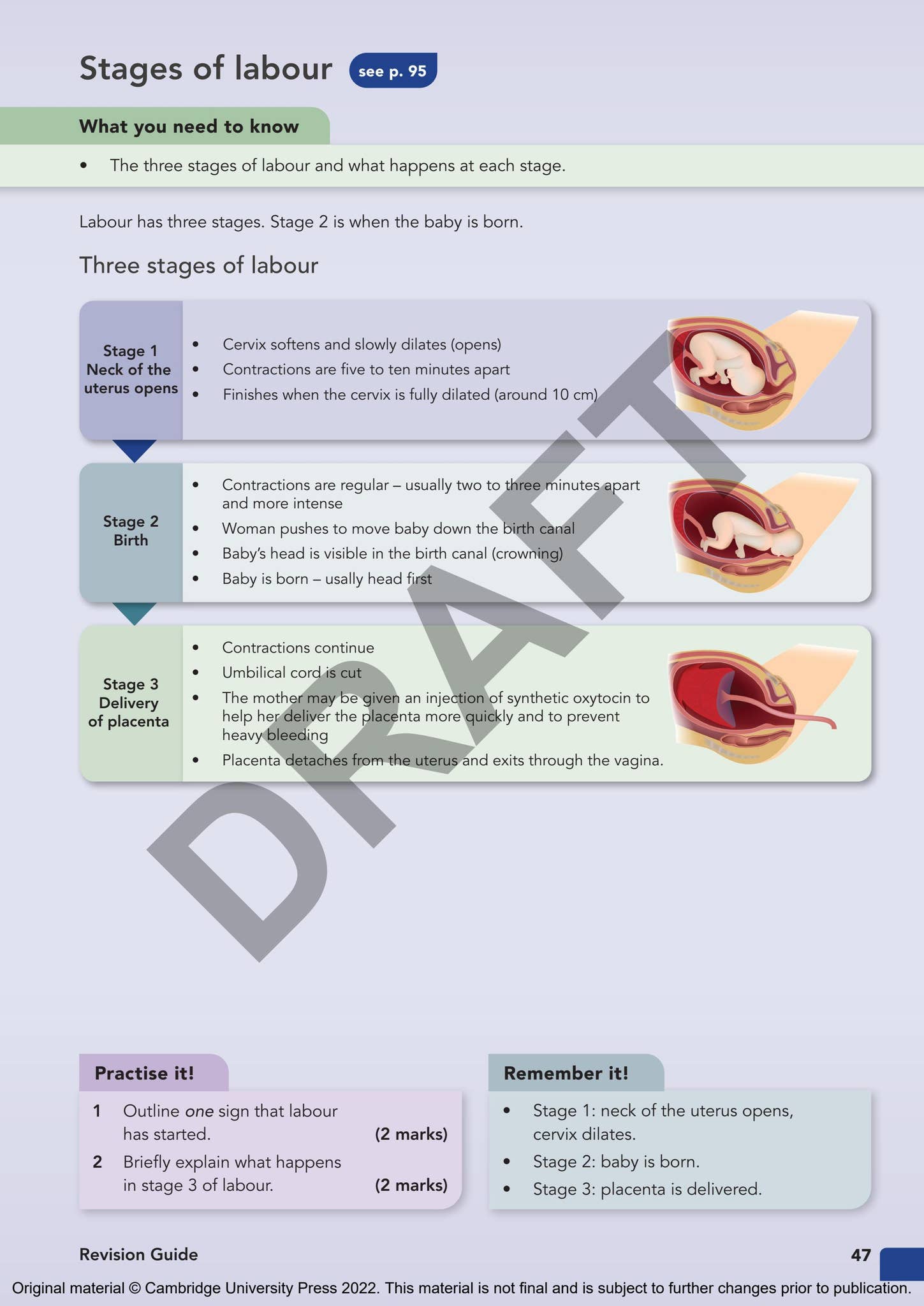 Cambridge Nationals Child Development Revision Guide Issuu Sample by ...