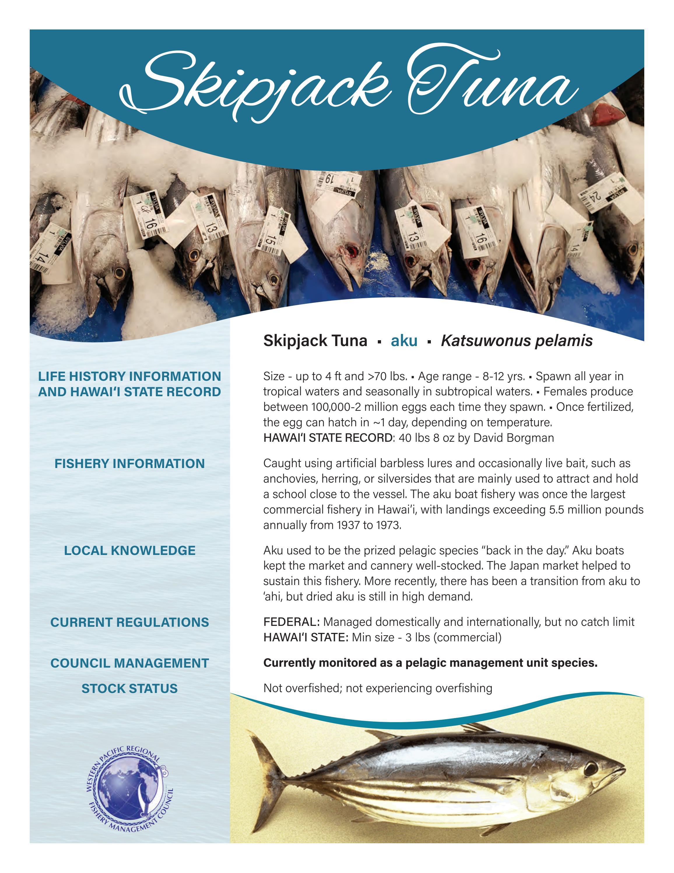 Skipjack Tuna Fact Sheet by Western Pacific Regional Fishery Management ...