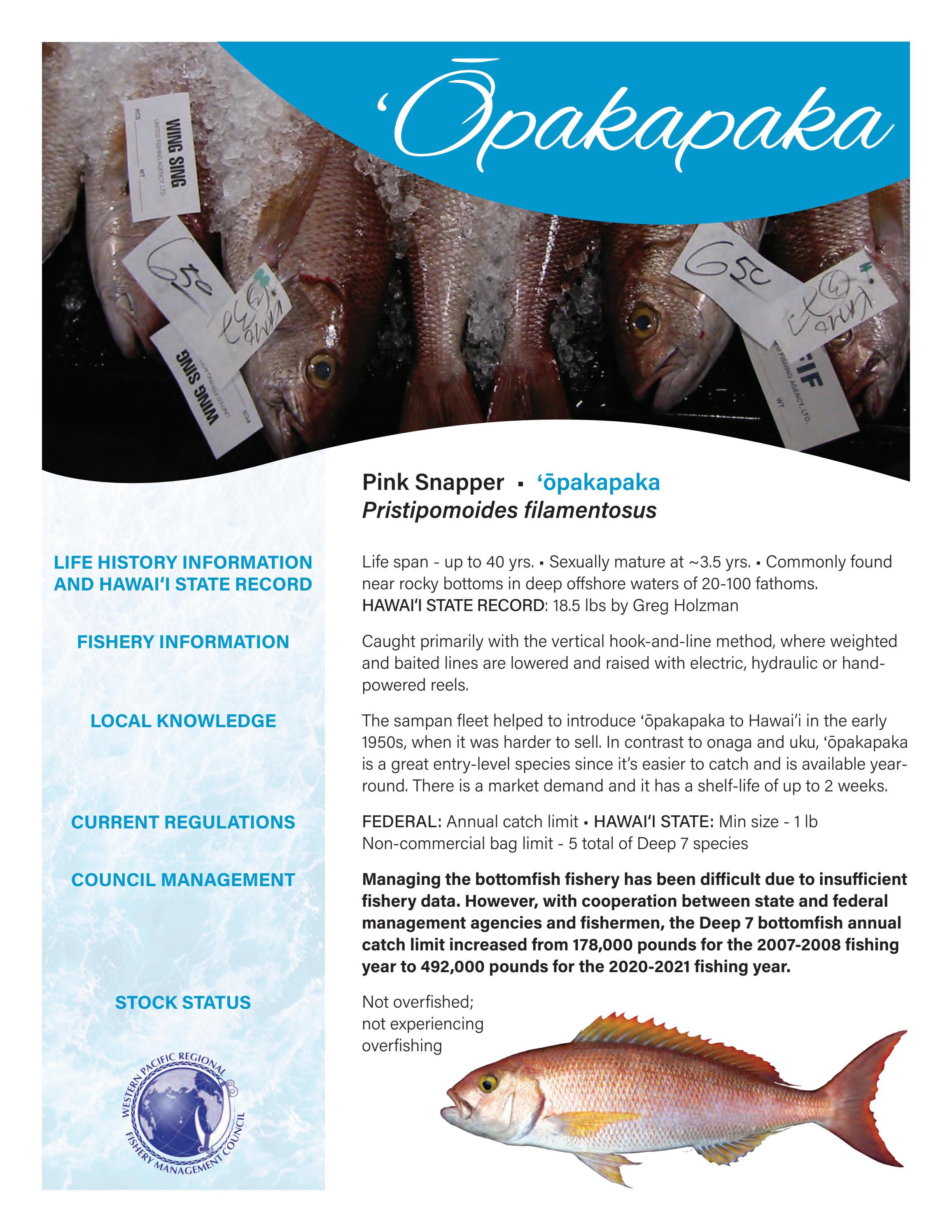 Opakapaka Fact Sheet by Western Pacific Regional Fishery Management ...