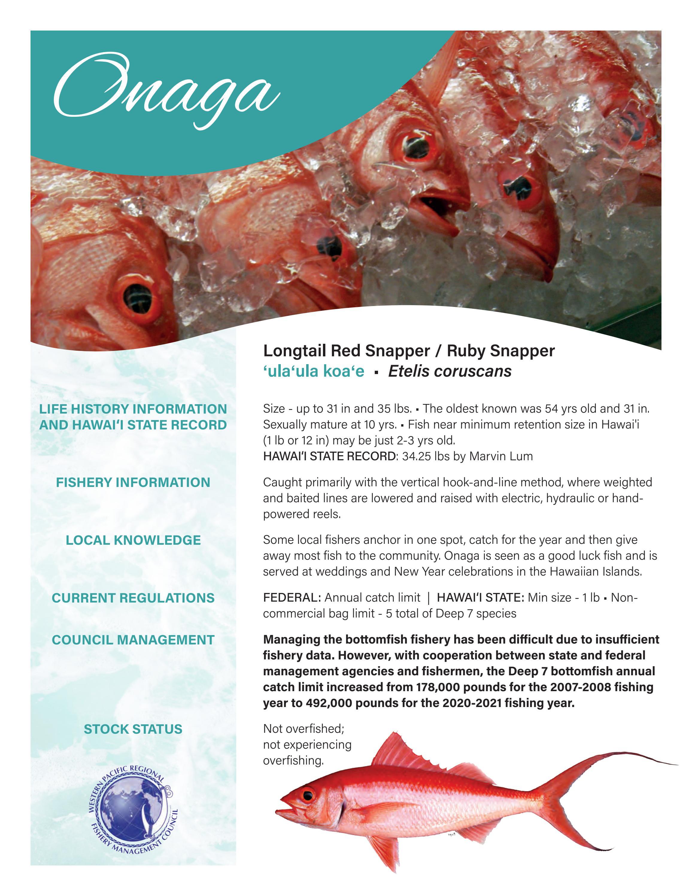 Onaga Fact Sheet by Western Pacific Regional Fishery Management Council ...
