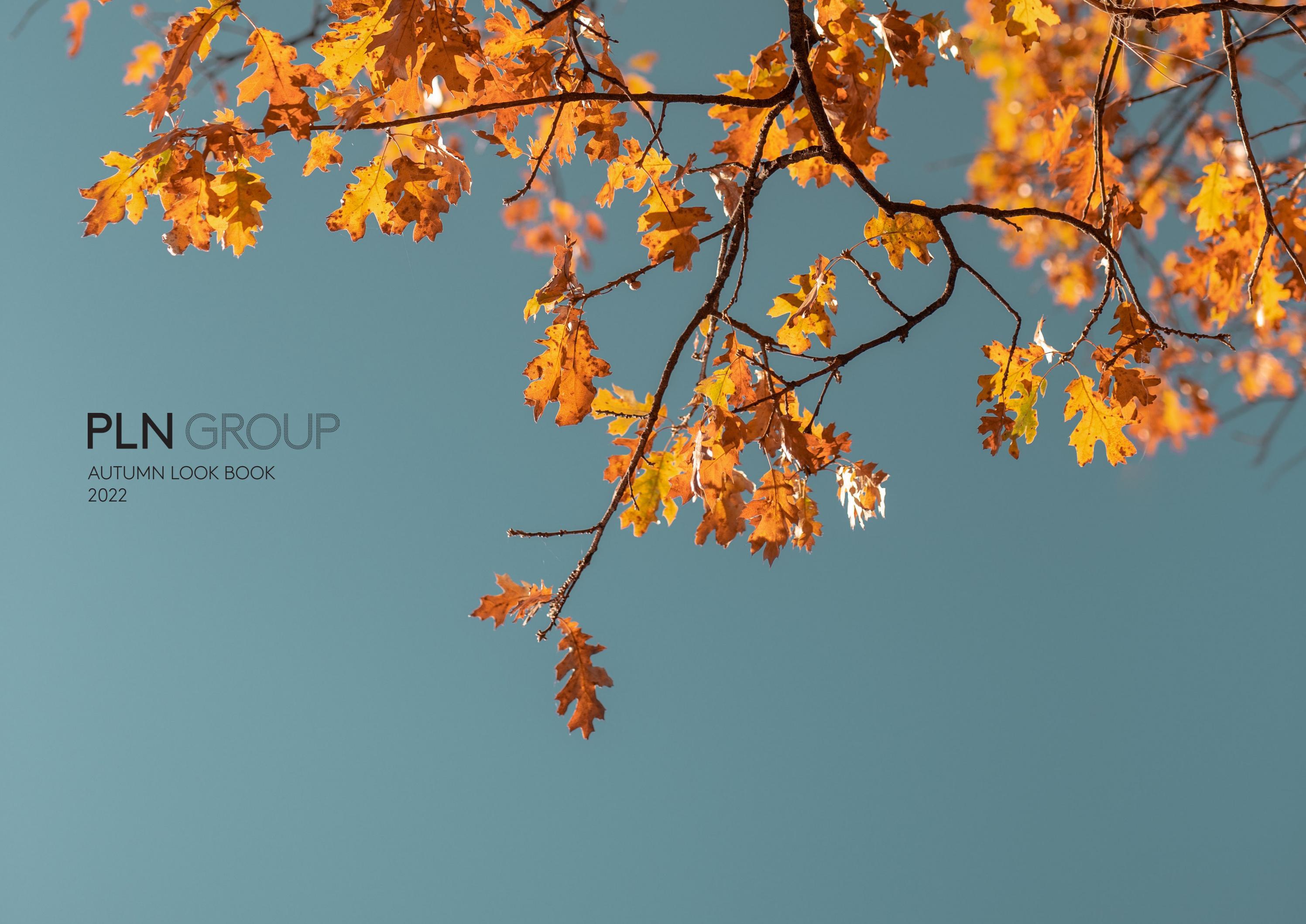 PLN Group - Autumn 2022 Look Book - Furniture & Lighting by plngroup ...