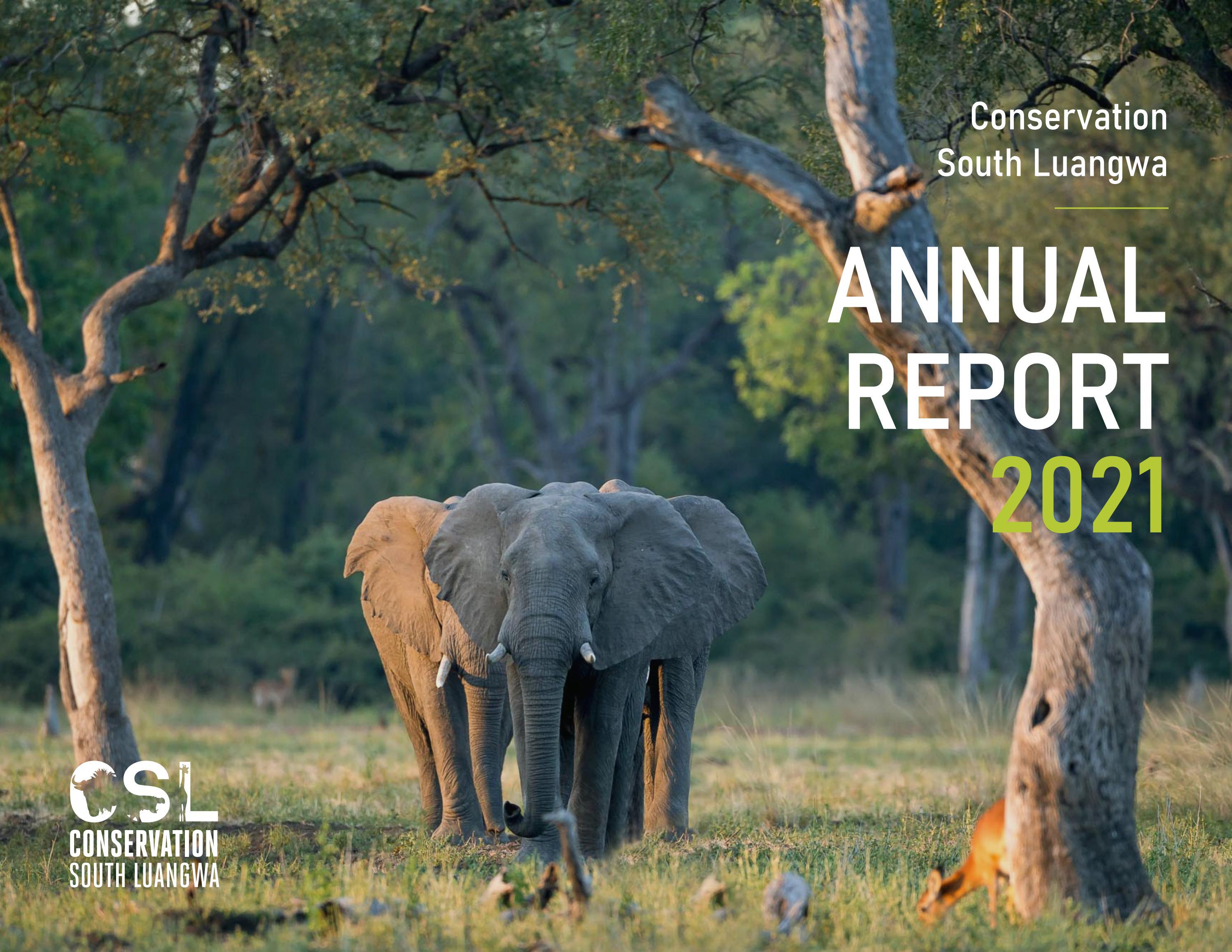 CSL Annual Report 2021 by CSLZambia - Issuu