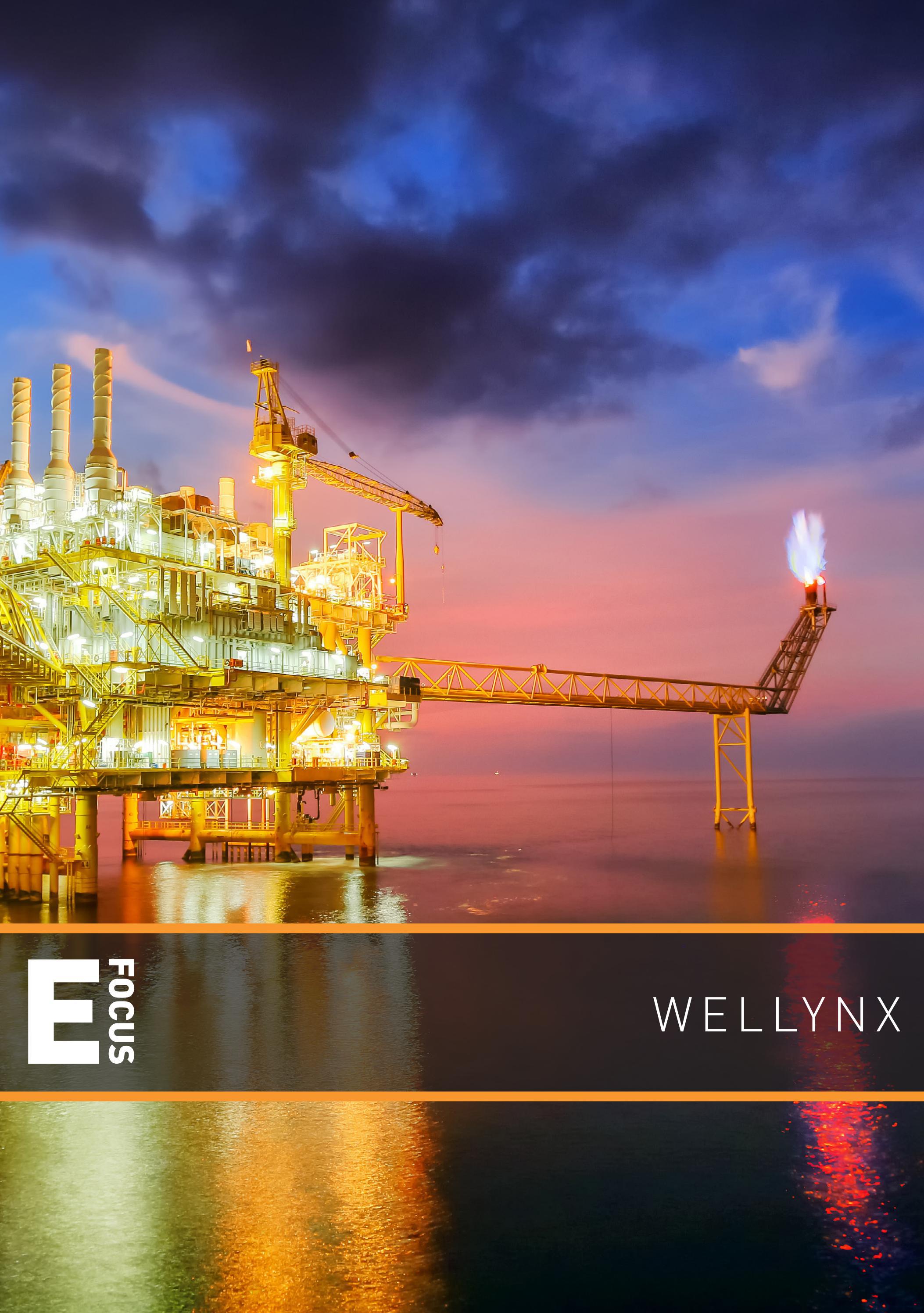 Wellynx / Energy Focus by CMB Media Group - Issuu