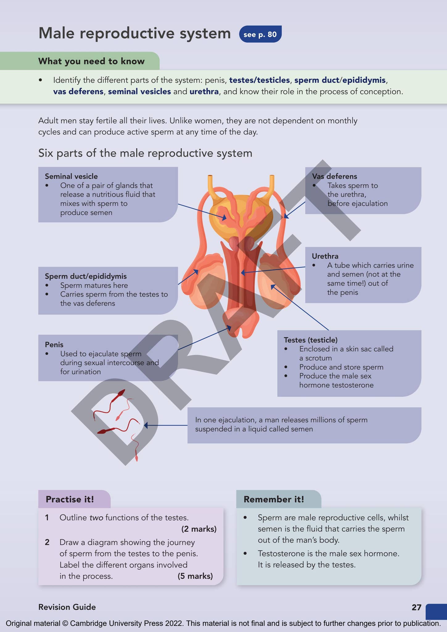 Cambridge Nationals Child Development Revision Guide Issuu Sample by ...