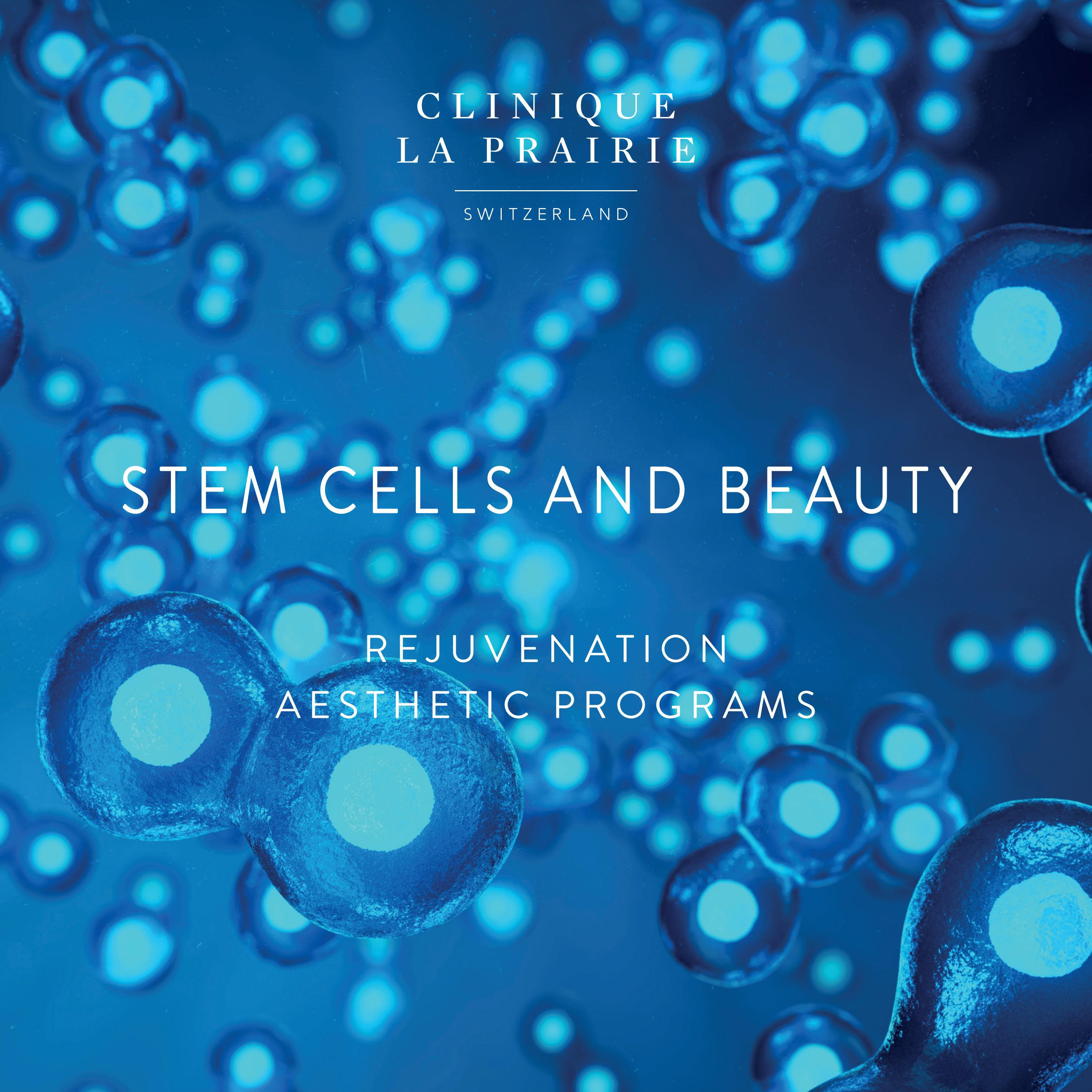 Stem Cells & Beauty by Clinique La Prairie - Issuu