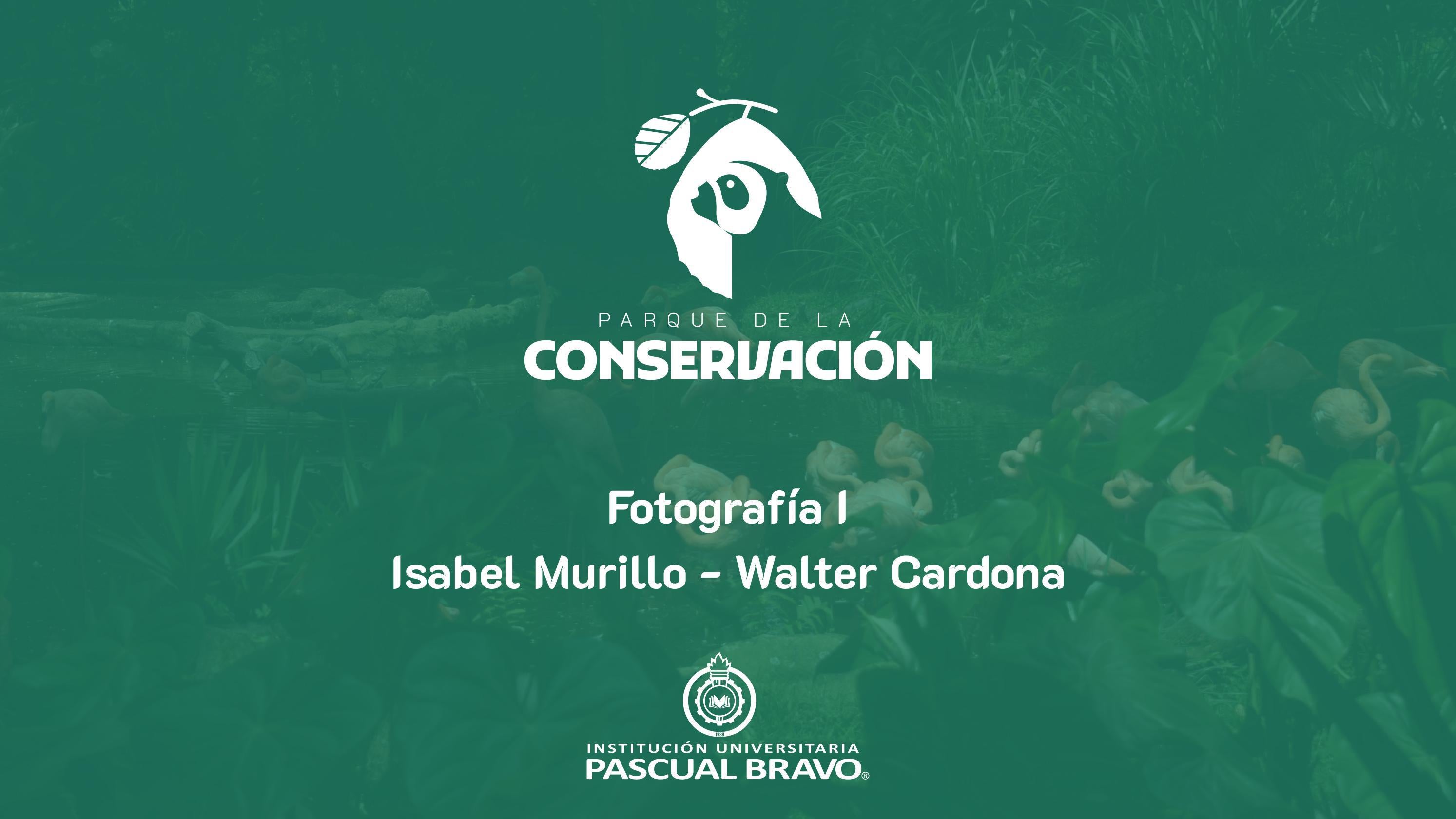 Pia: Parque de la conservación by Isabel Murillo Alvarez - Issuu