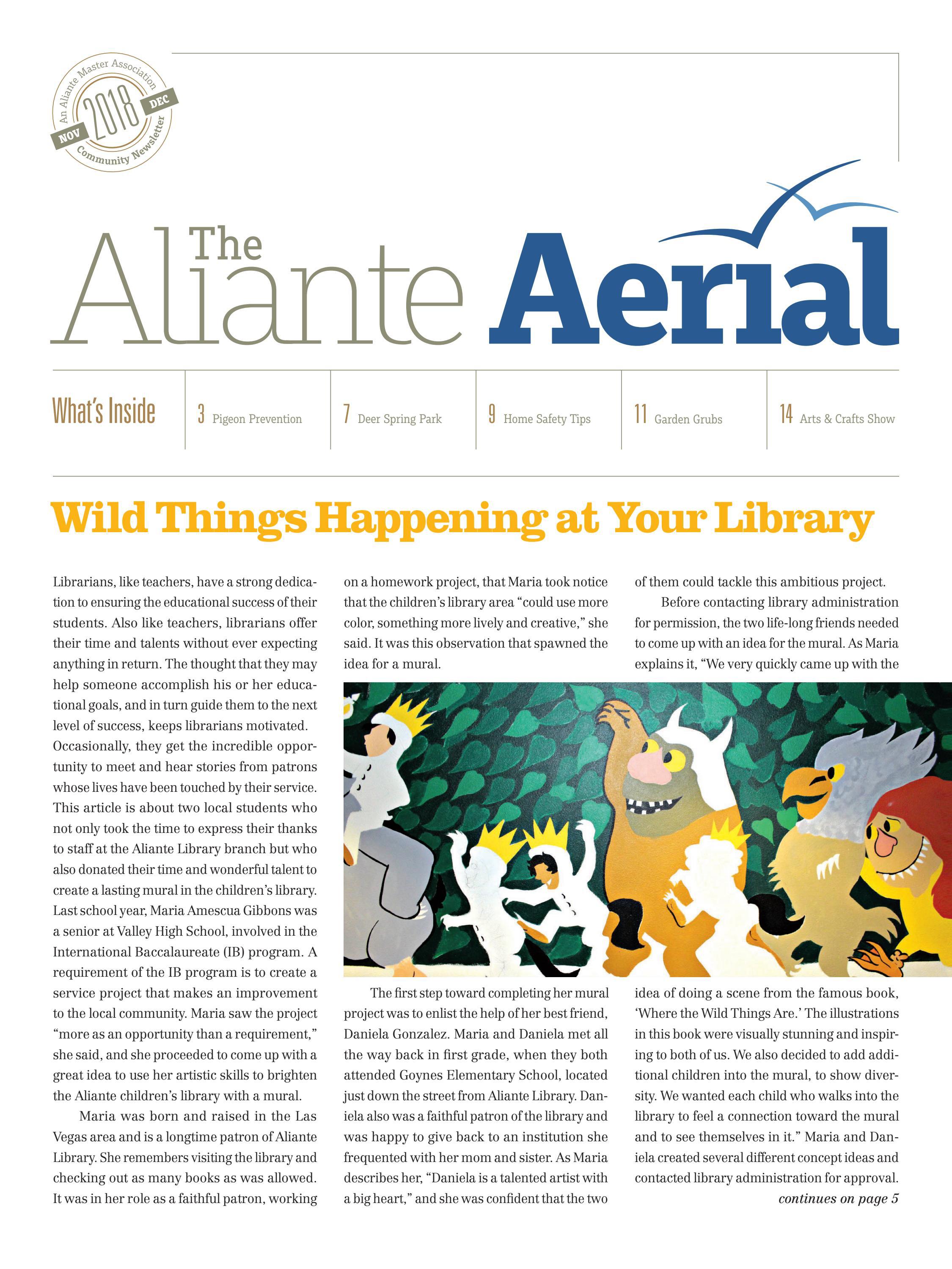 The November-December 2018 Edition of the Aerial Magazine by ...