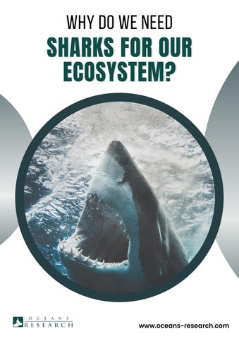 Why Do We Need Sharks For Our Ecosystem? by oceansresearch - Issuu