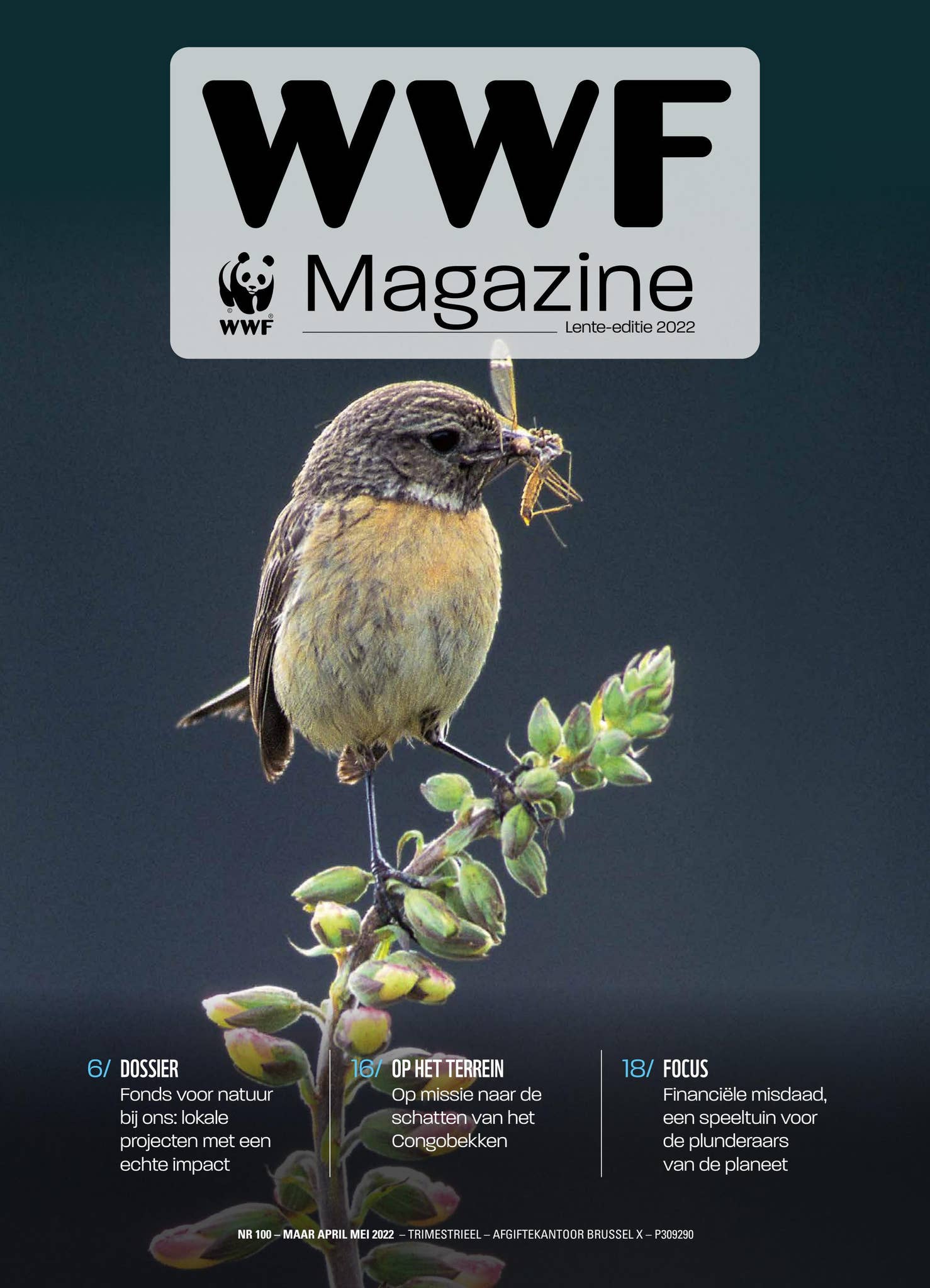 WWF Magazine 100 NL by WWF-Belgium - Issuu