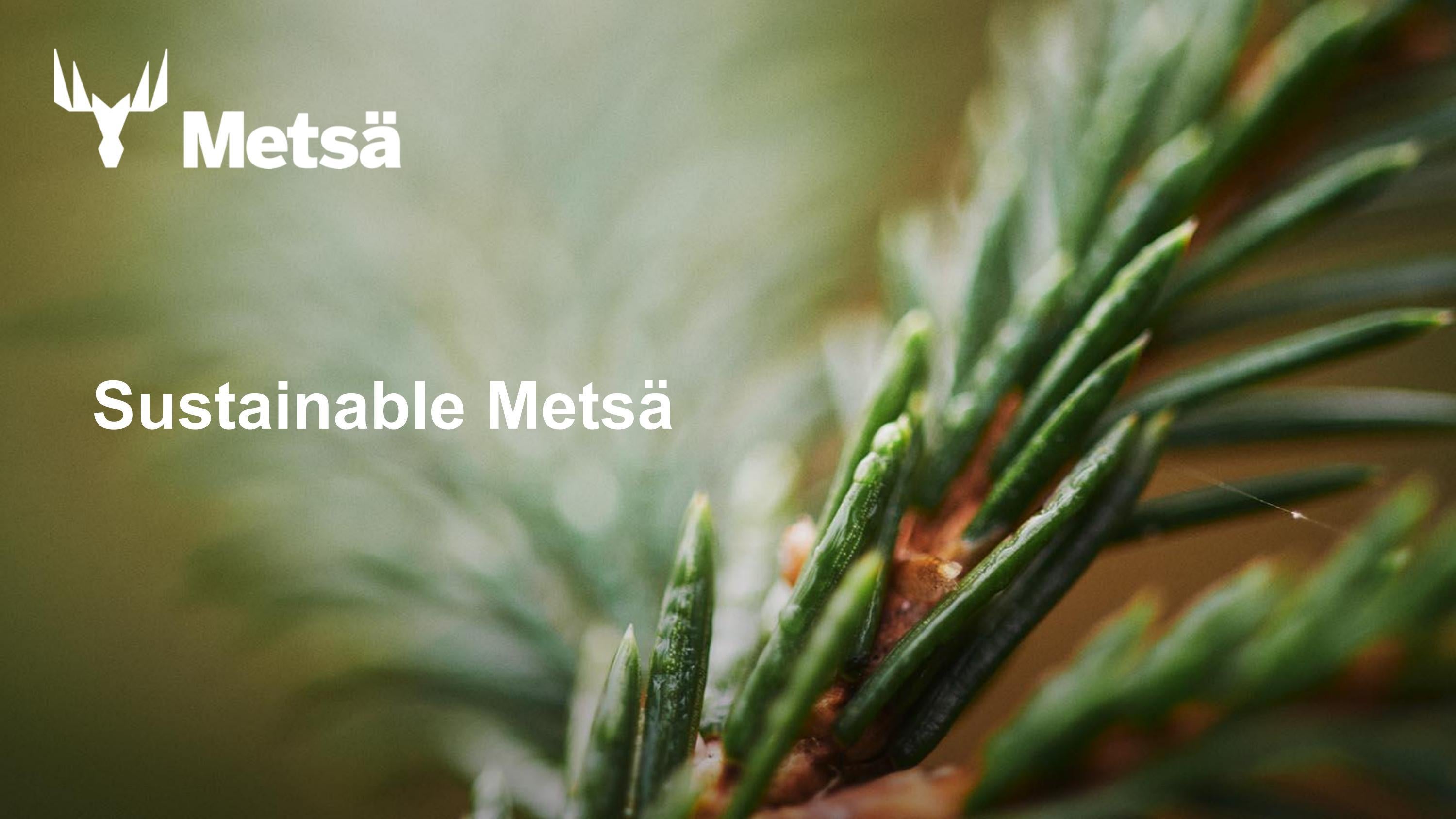 Sustainable Metsa - in brief by Metsä Group - Issuu
