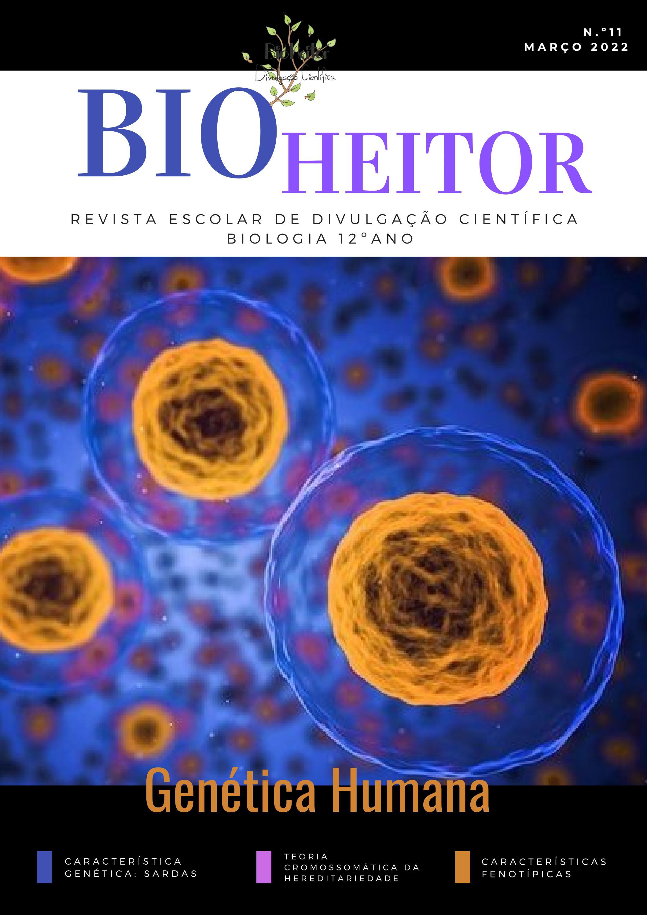 BioHeitor N.º11 MARÇO 2022 by aefhp - Issuu