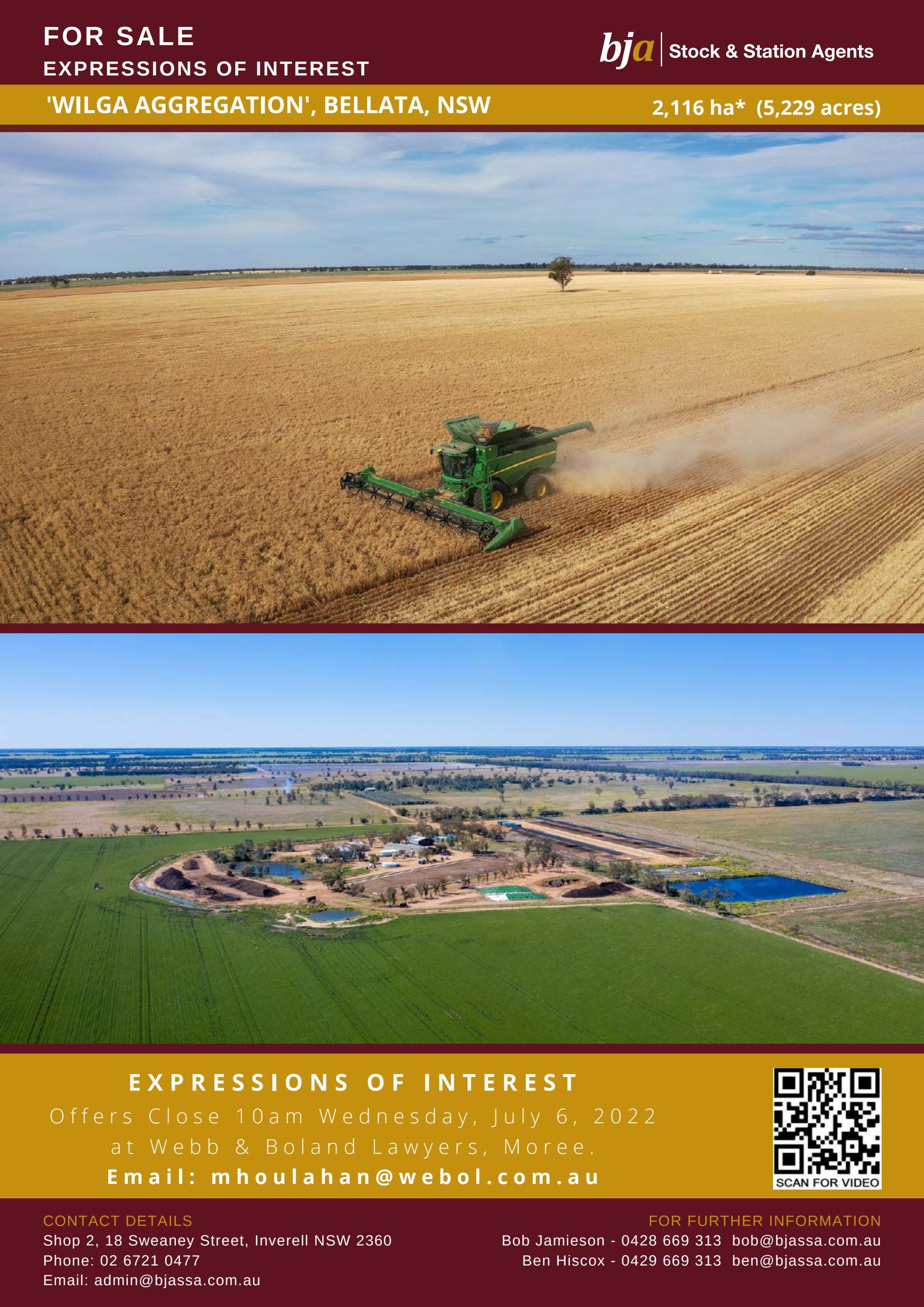 'Wilga' Aggregation, Bellata NSW by BJA Stock and Station Agents - Issuu