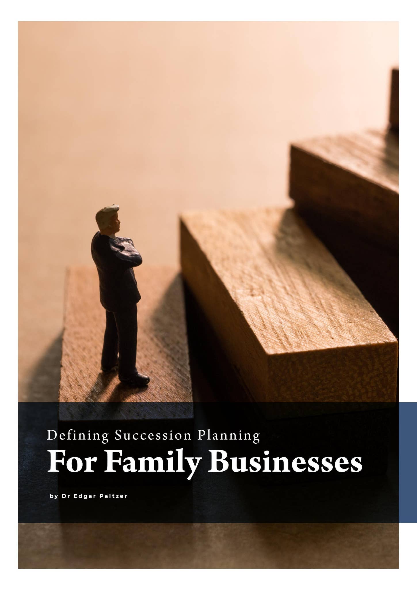Defining Succession Planning for Family Businesses by Dr Edgar Paltzer ...