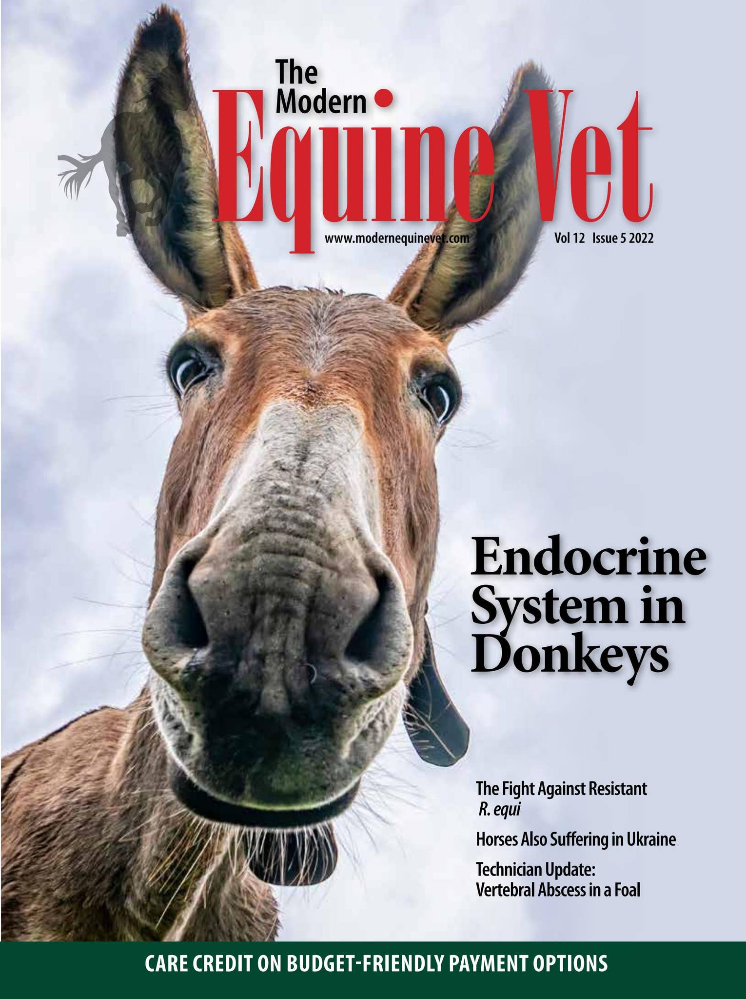 The Modern Equine Vet - May 2022 by The Modern Equine Vet - Issuu