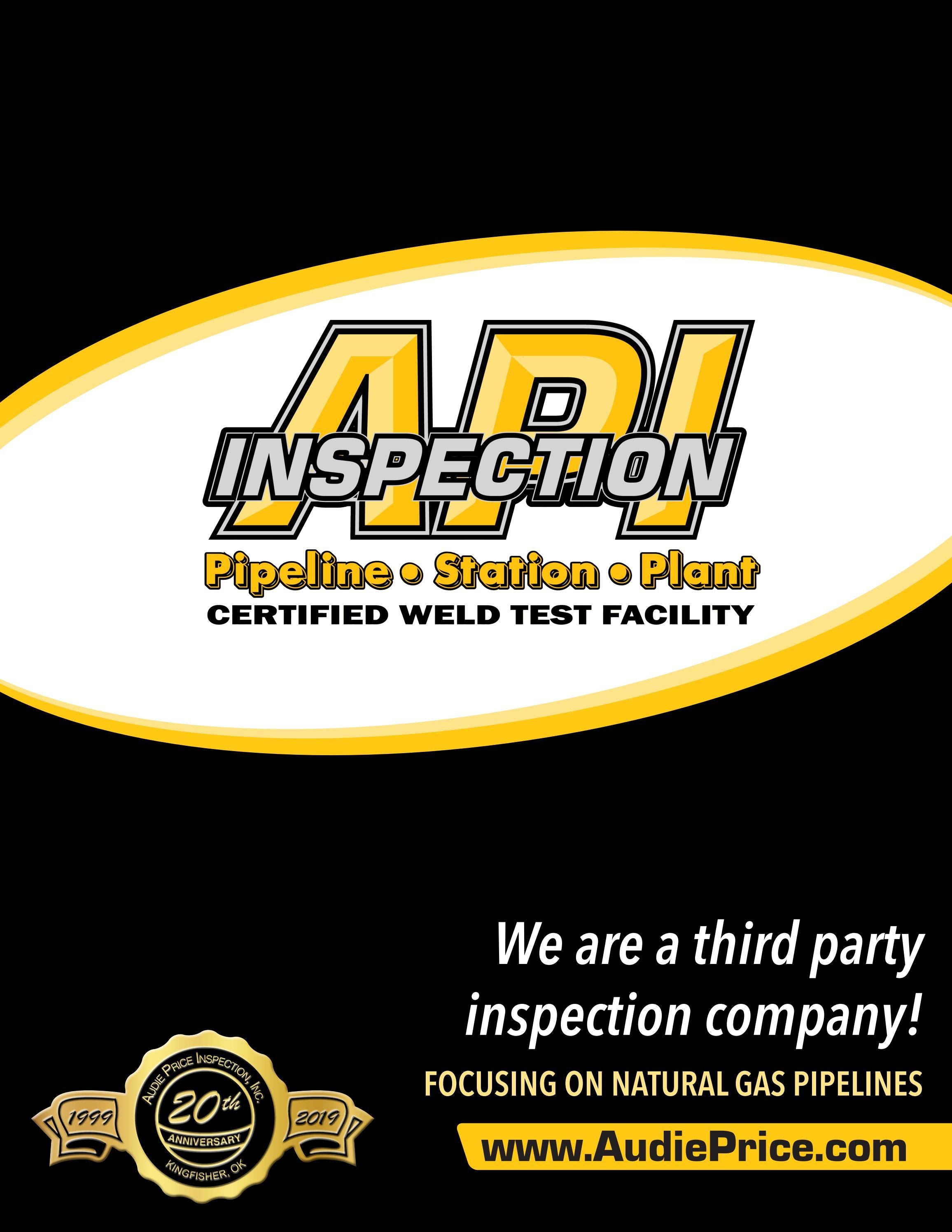 API Inspection Corporate Brochure by David Neilson - Issuu