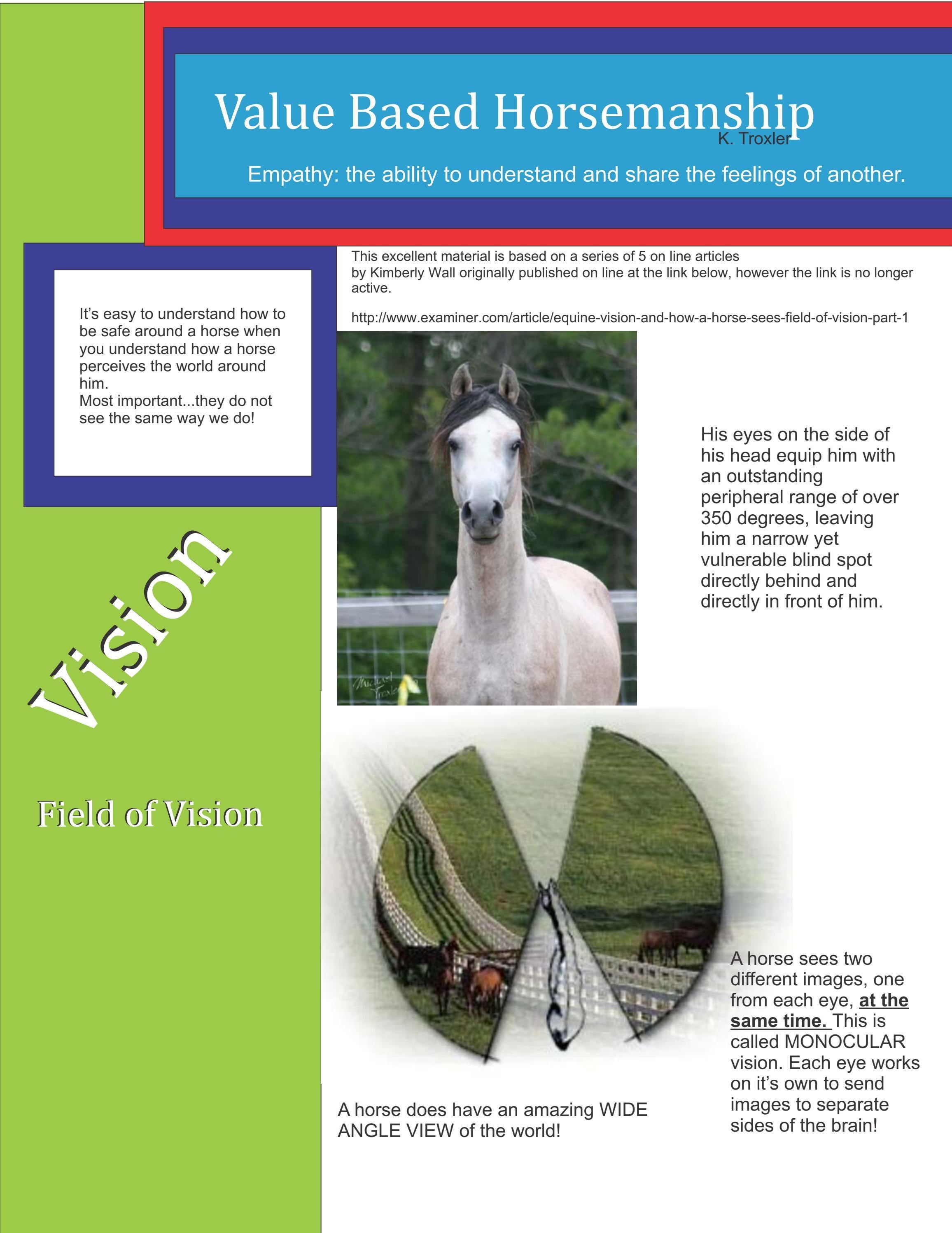 How Horses See the World by Kathy Troxler - Issuu