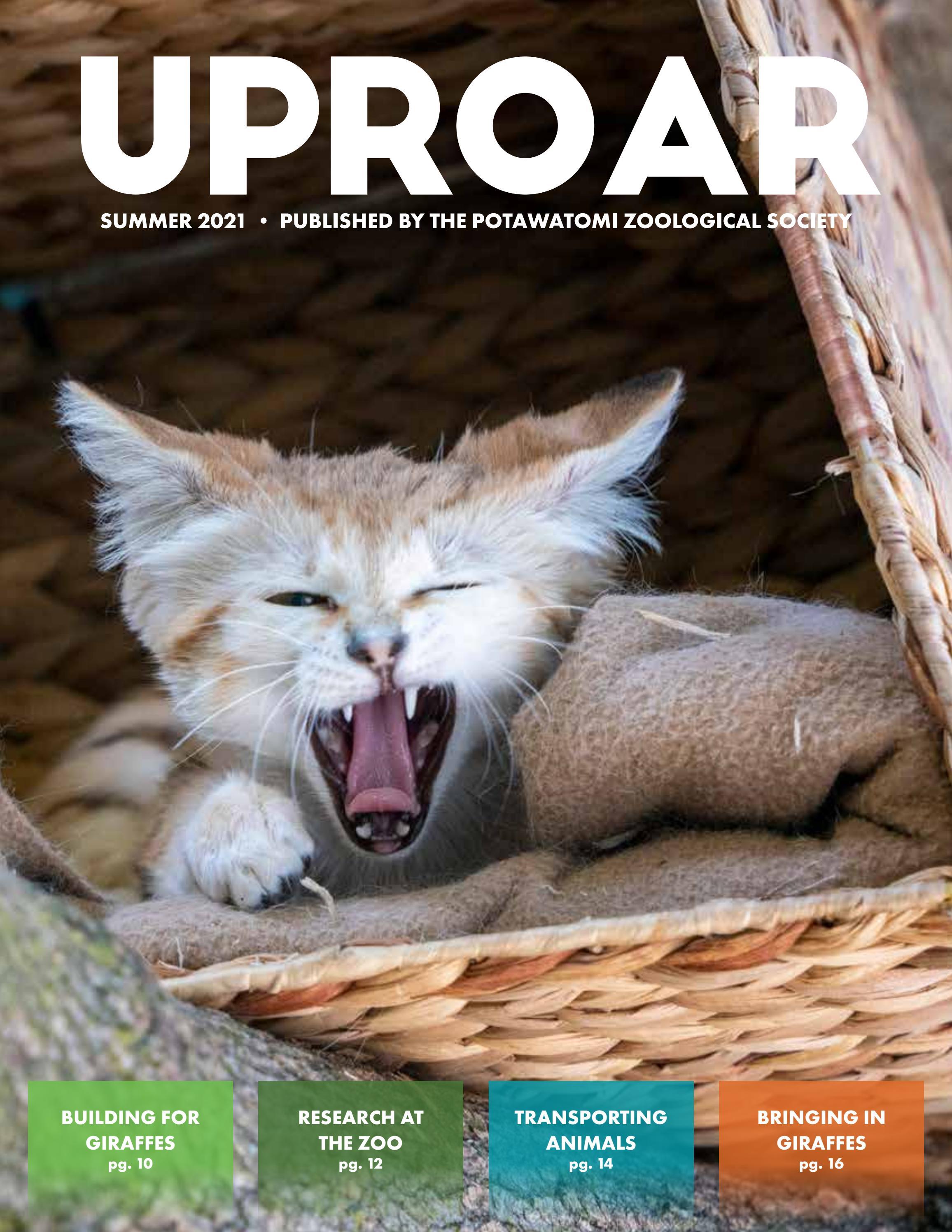 UPROAR, 2021 Summer by Potawatomi Zoo - Issuu
