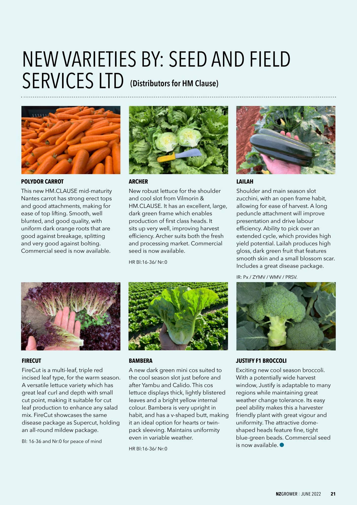 NZGrower I June 2022 by Horticulture New Zealand - Issuu