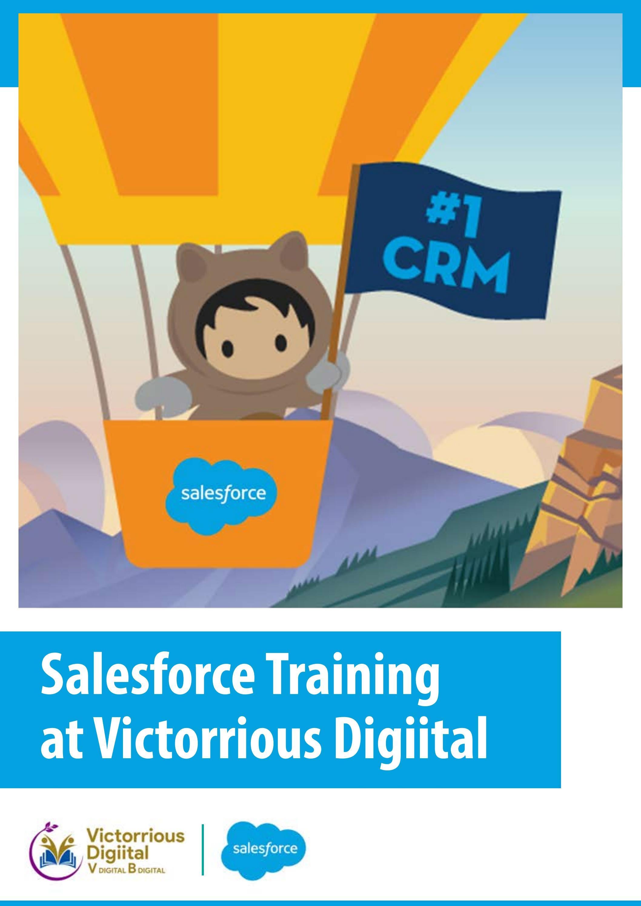 Salesforce Training Syllabus - Victorious Digital Pune by Victorious Digital - Issuu
