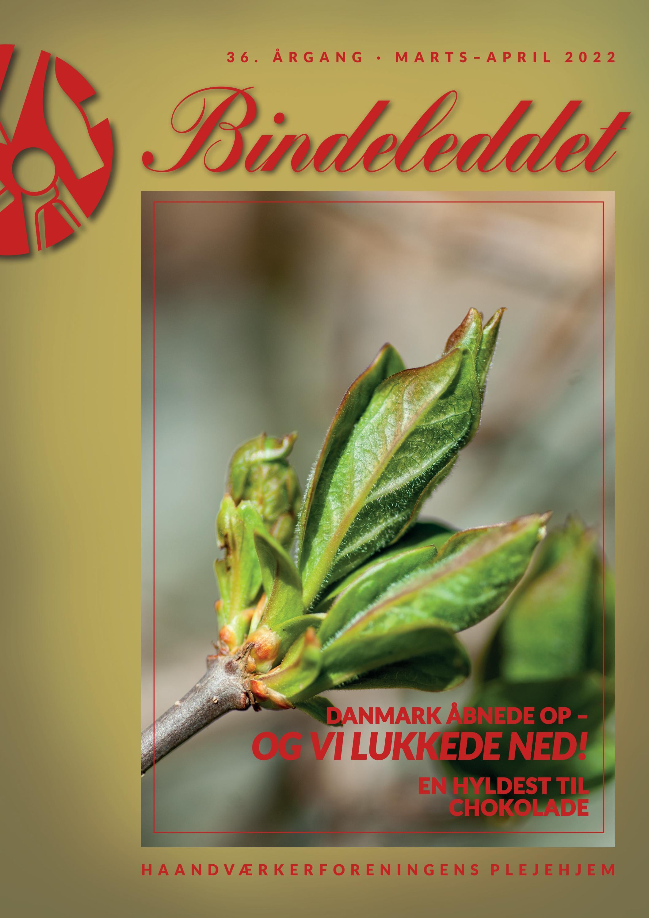 Bindeleddet 02 2022 by PadePublishing - Issuu