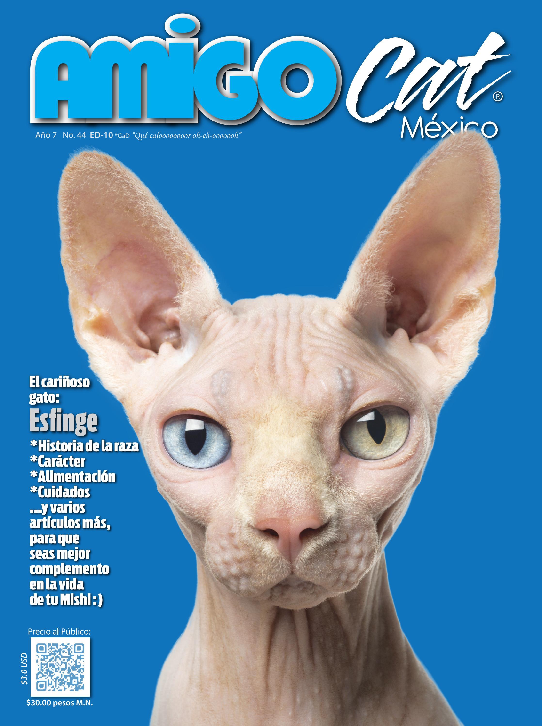 Amigo CAT México 10-44 by AmigoDOG & AmigoCAT México - Issuu
