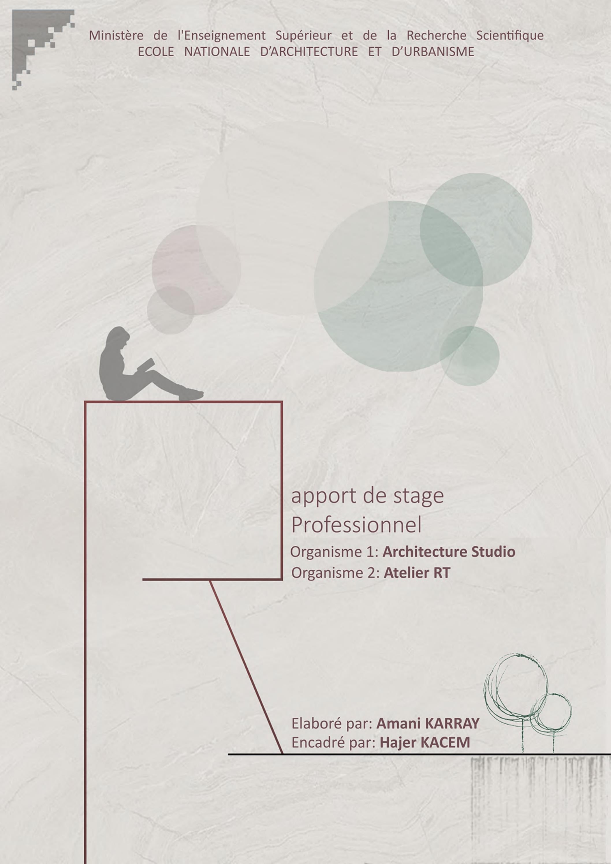 Rapport de stage professionnel by Améni Karray - Issuu