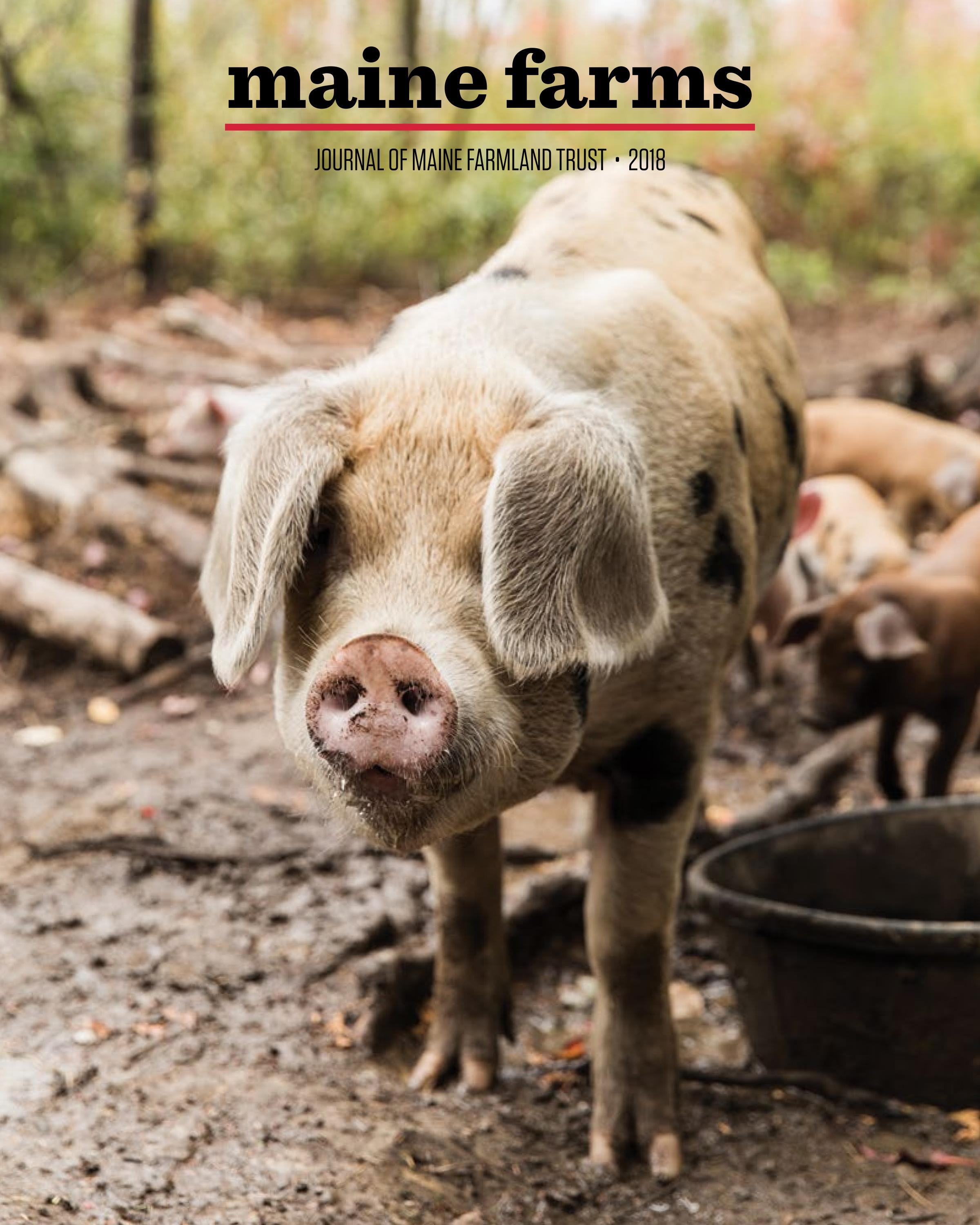 Maine Farms 2018 by Maine Farmland Trust - Issuu