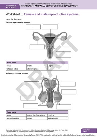Cambridge Nationals Child Development Teacher Resource by Cambridge ...
