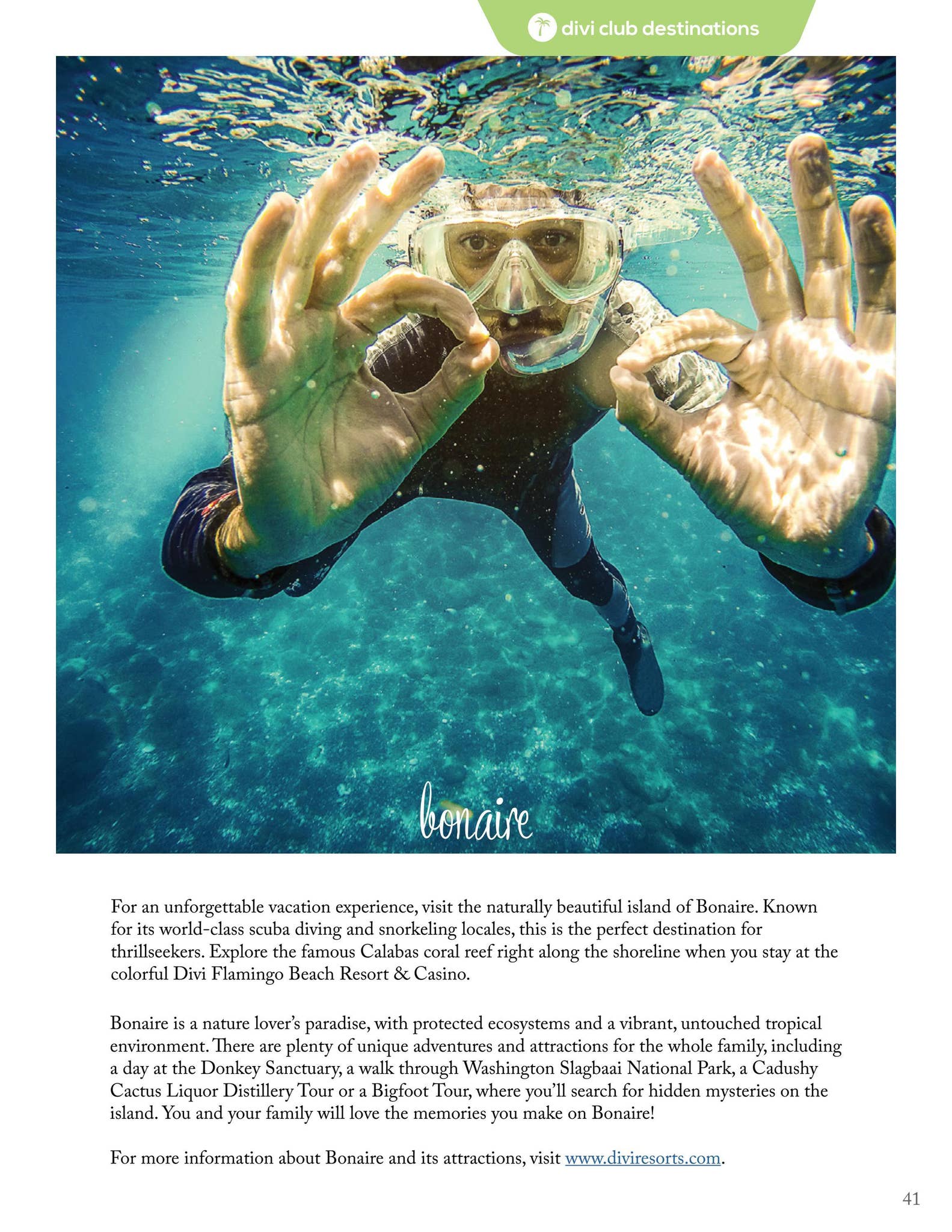 DVC Membership Guide 2022 Edition by Divi Resorts - Issuu