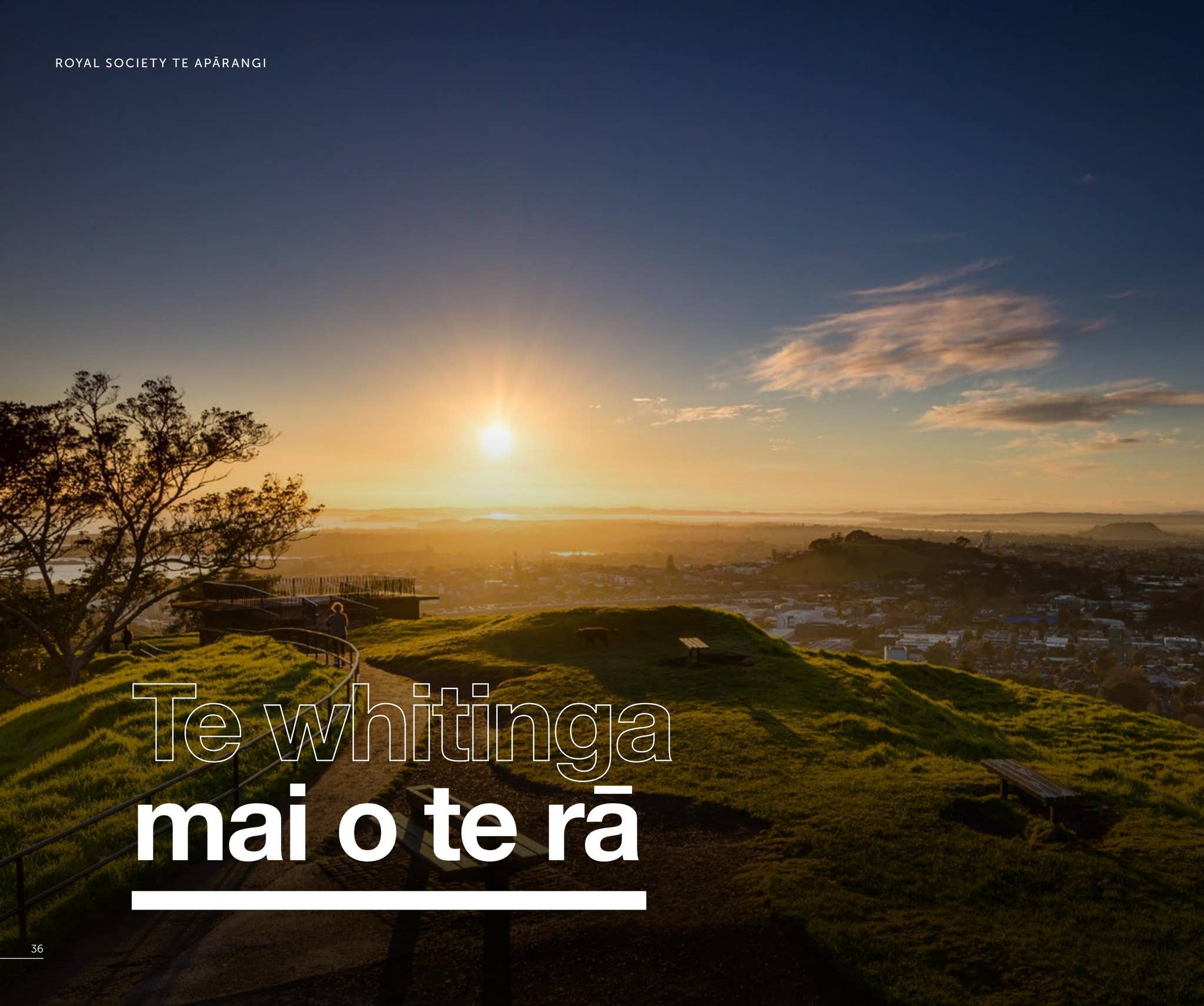 Highlights Te Tau 2021 by Royal Society Te Apārangi - Issuu