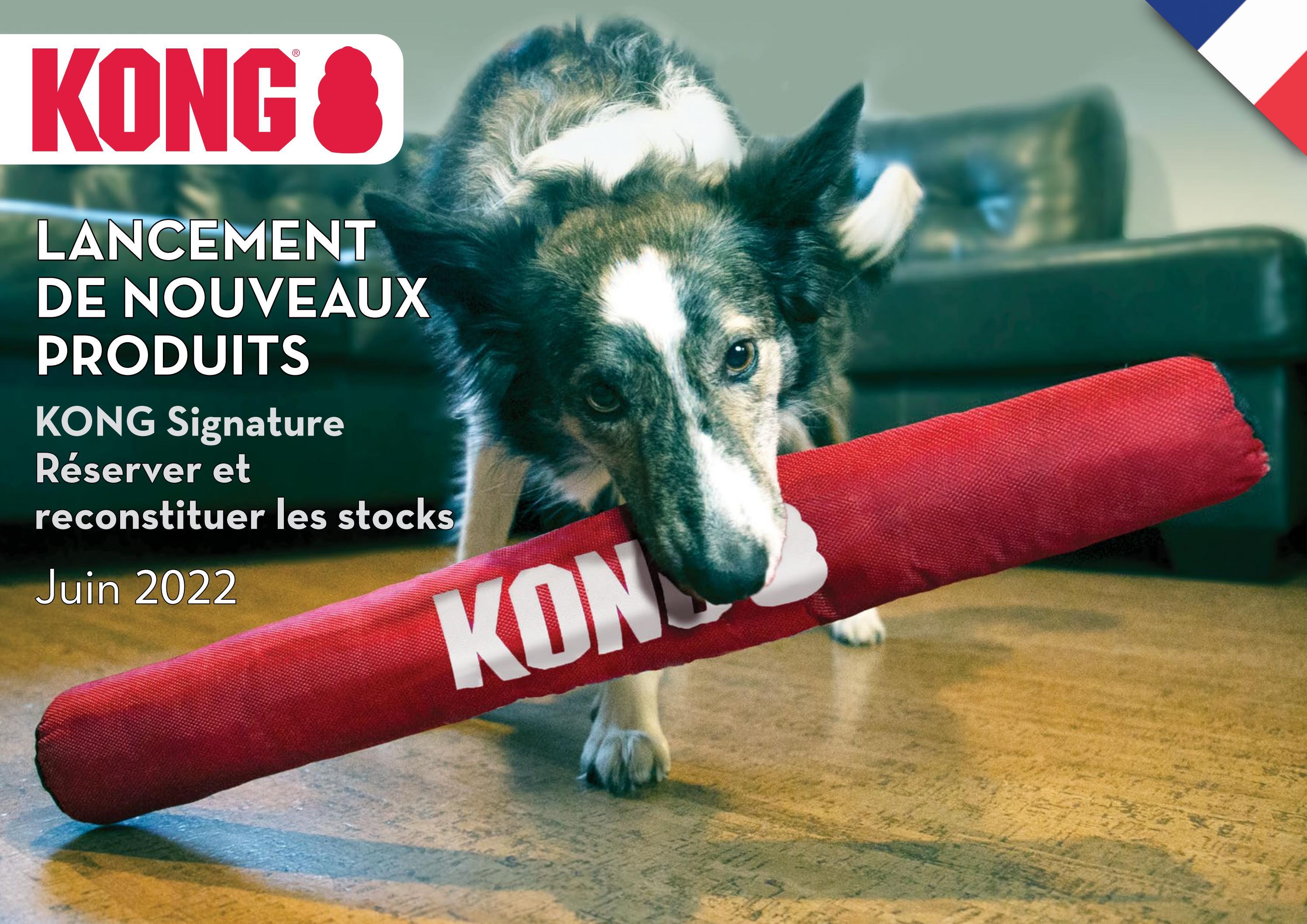 KONG FR June Promo Book 0622 by KONG Company - Issuu