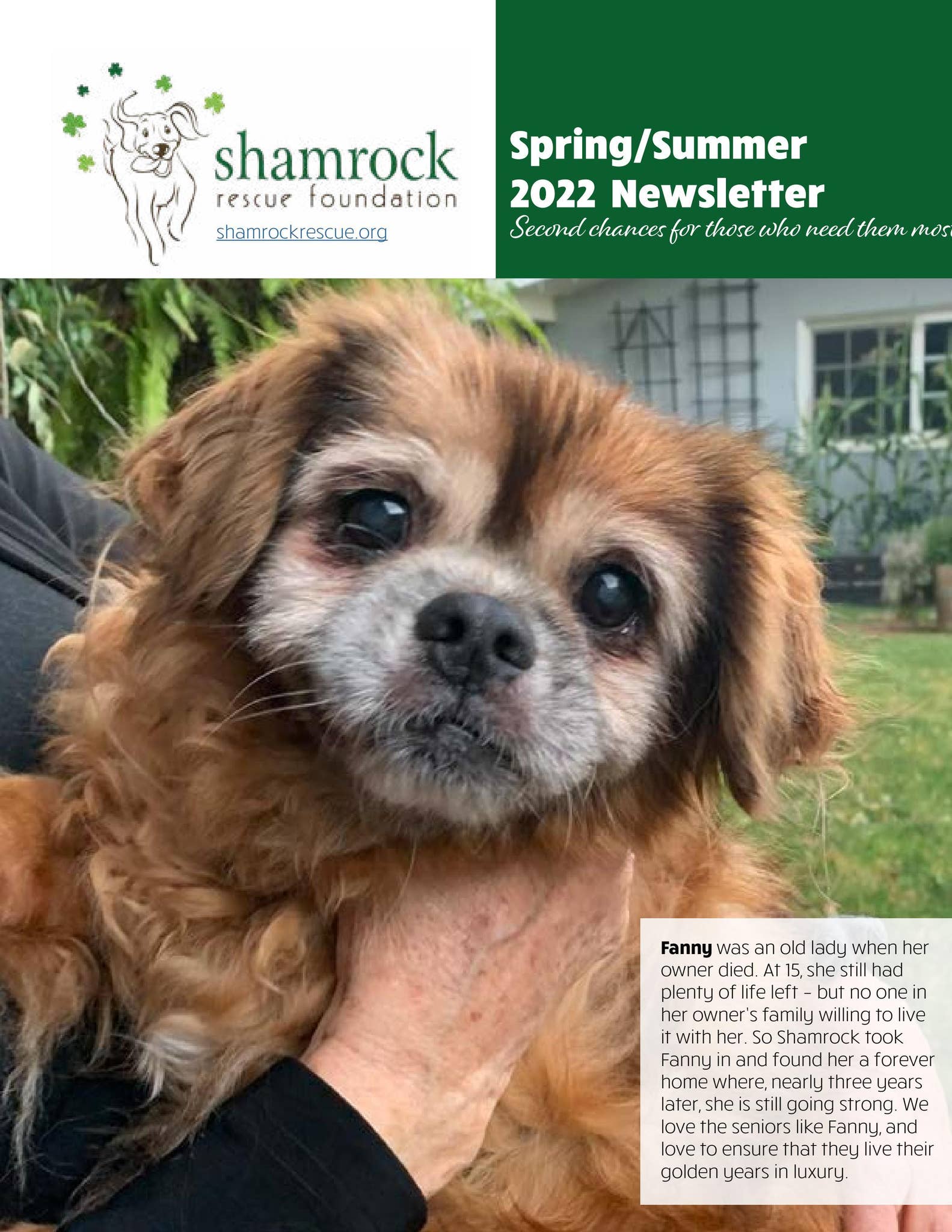 Shamrock Rescue Foundation Spring/Summer 2022 Newsletter by Centaurus ...