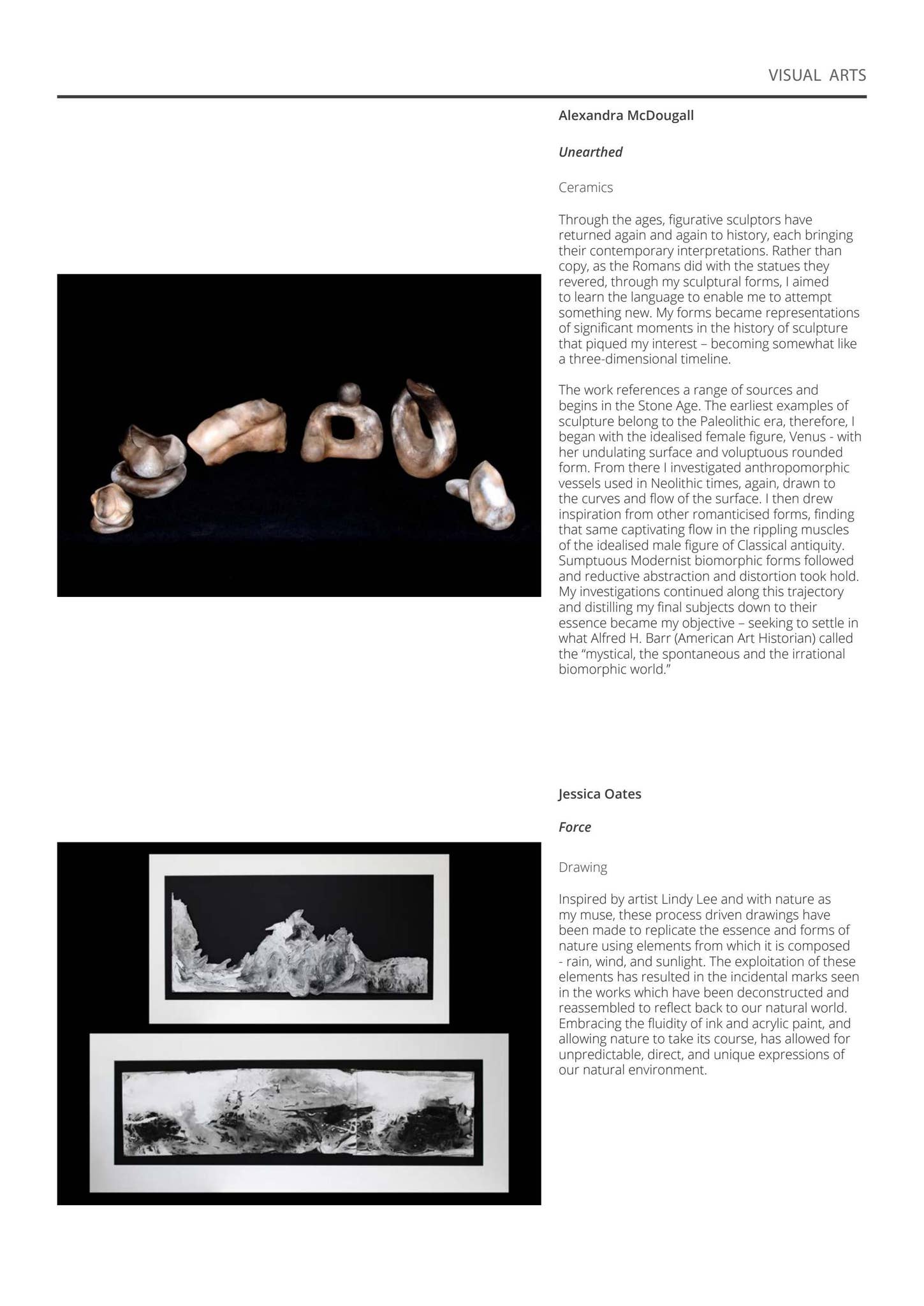 2021 HSC Visual Arts Catalogue of Works by PLC Sydney - Issuu