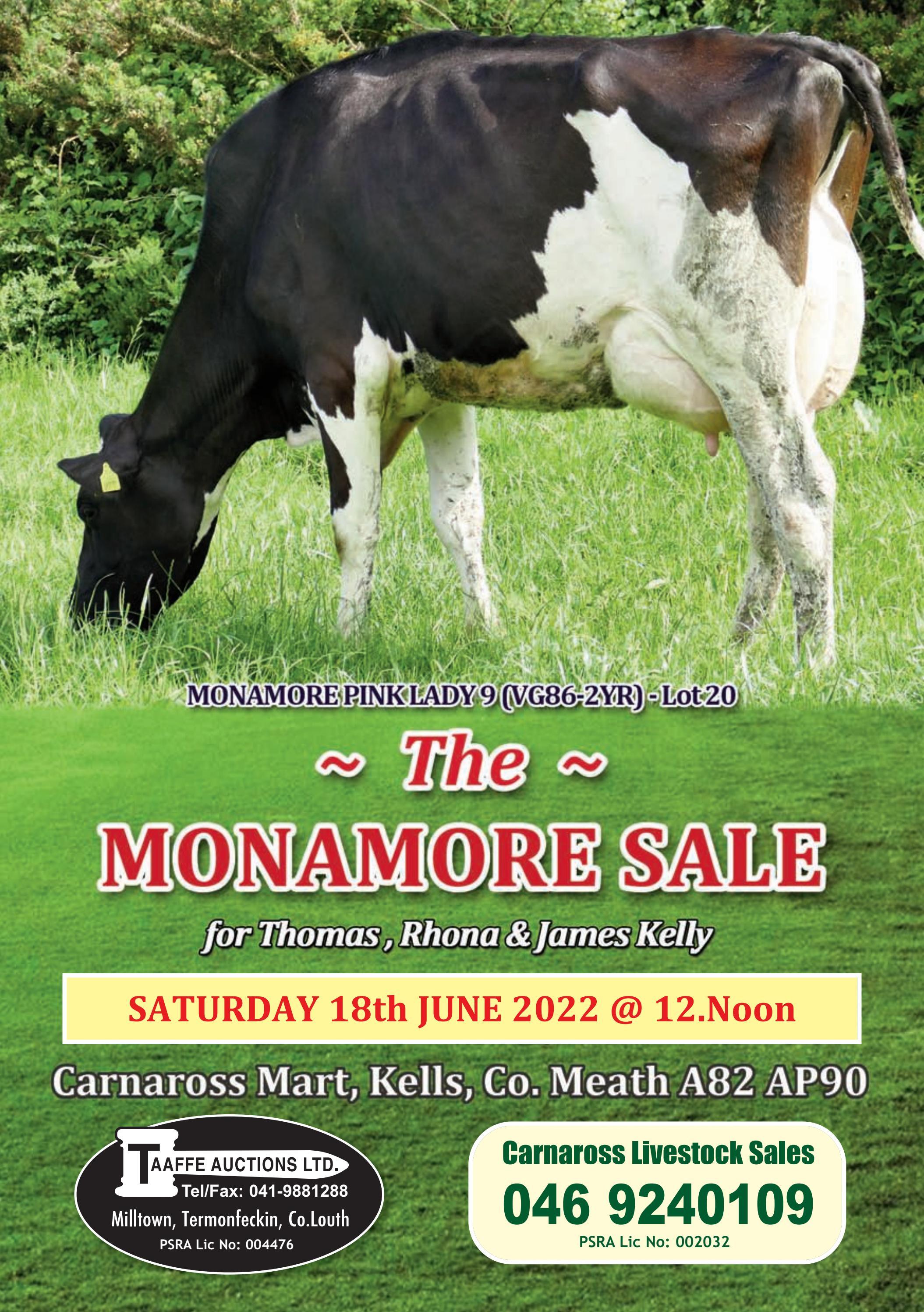THE MONAMORE SALE by TAAFFE AUCTIONS LTD - Issuu