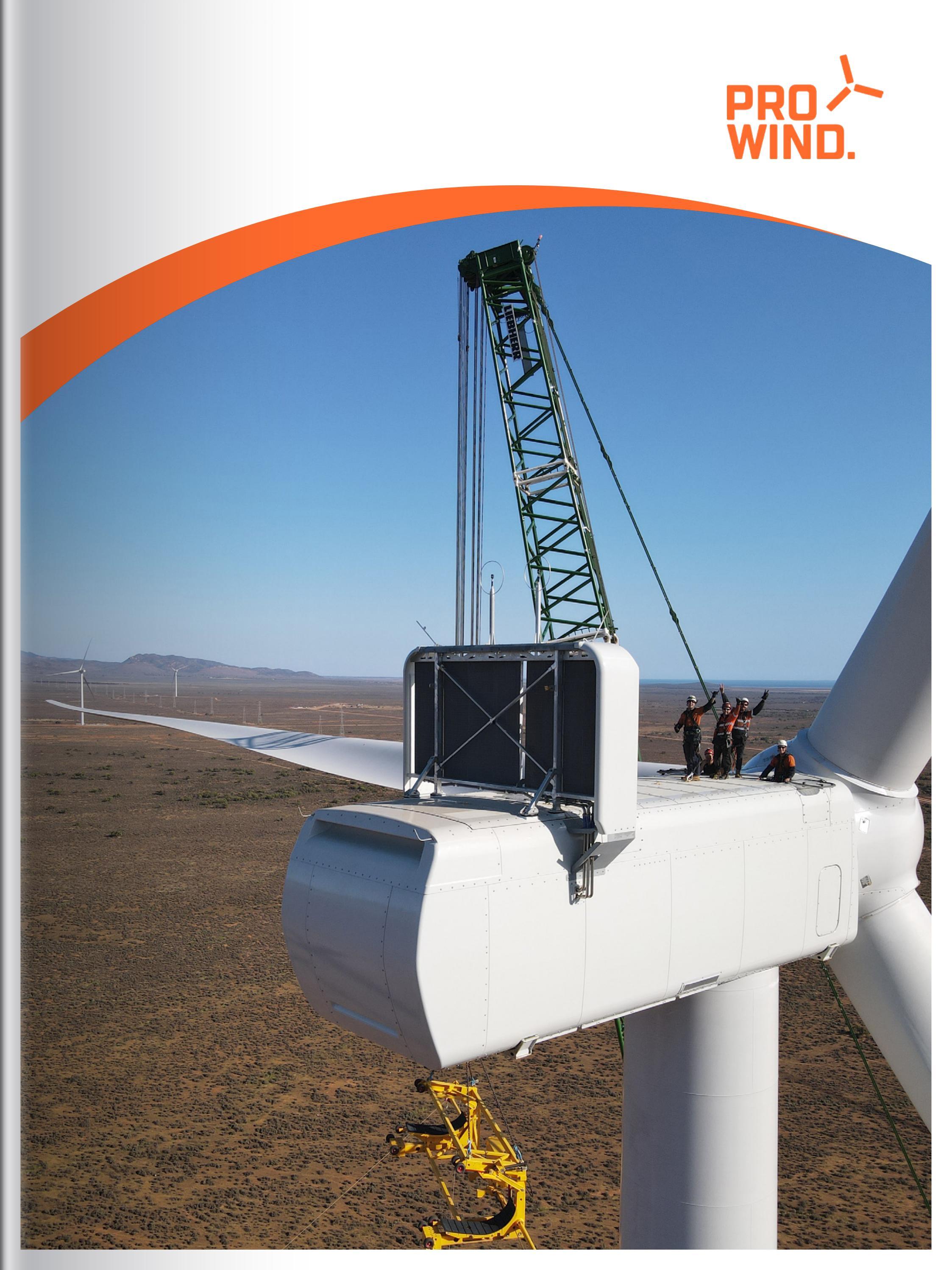 Professional Wind Services by Outlook Publishing - Issuu