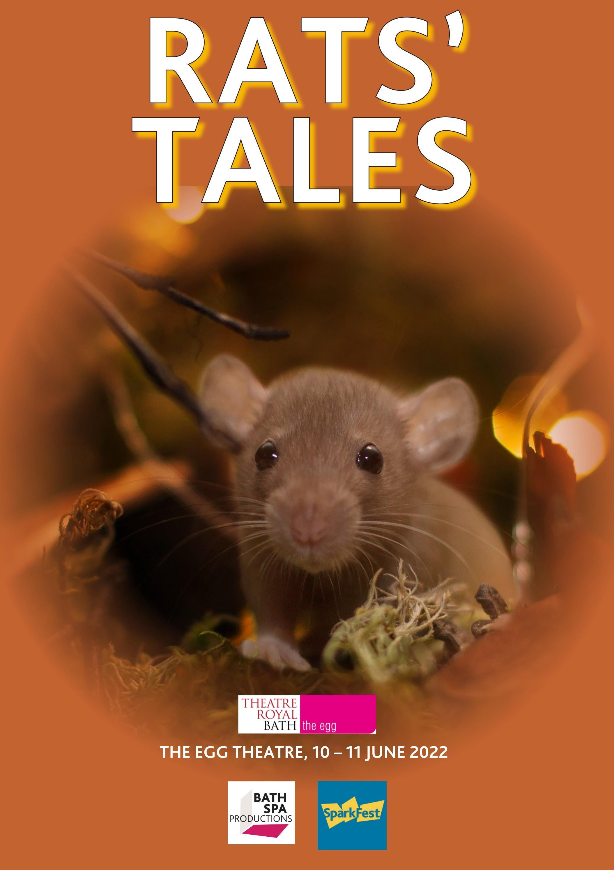 Rats' Tales (Show Programme) by Bath Spa University - Issuu