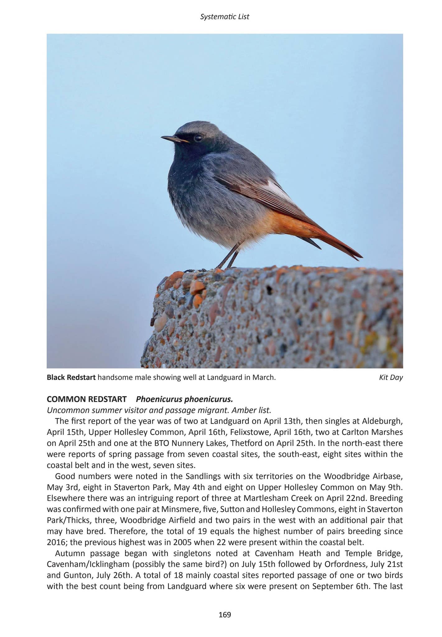 Suffolk Birds 2018 by Suffolk Naturalists' Society - Issuu