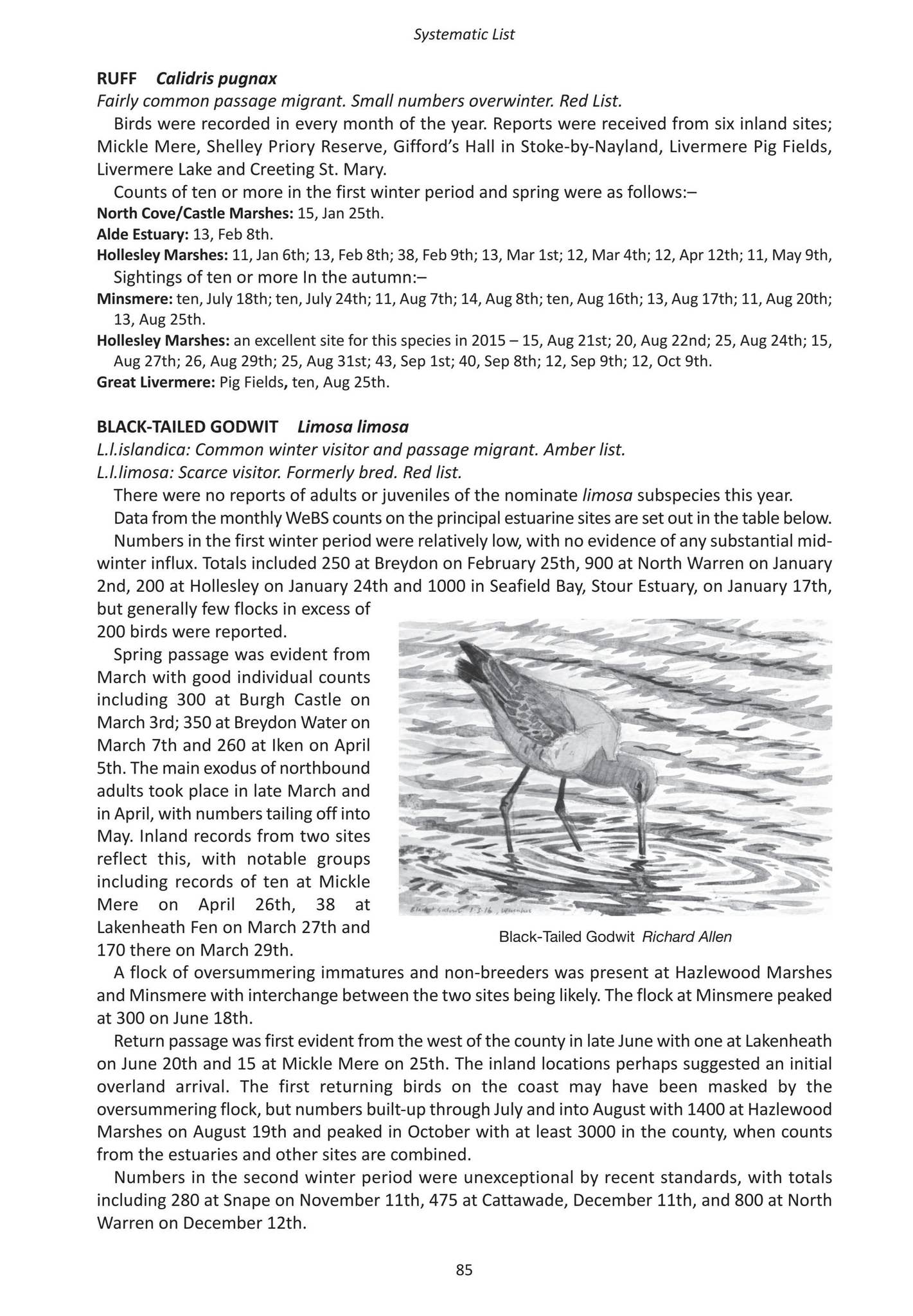Suffolk Birds 2015 by Suffolk Naturalists' Society - Issuu