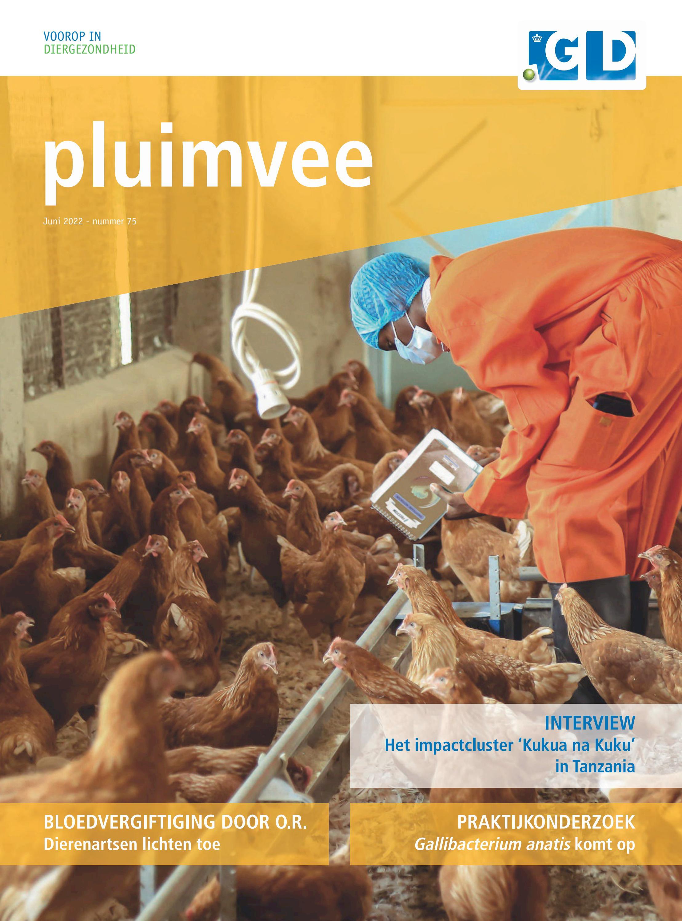 Pluimvee 75 - juni 2022 by Royal GD - Issuu