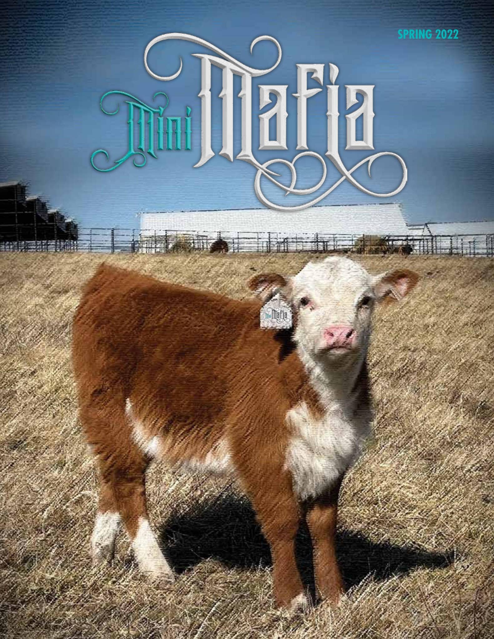 Mini Mafia Spring 2022 Edition by Barbour Marketing Solutions, LLC - Issuu