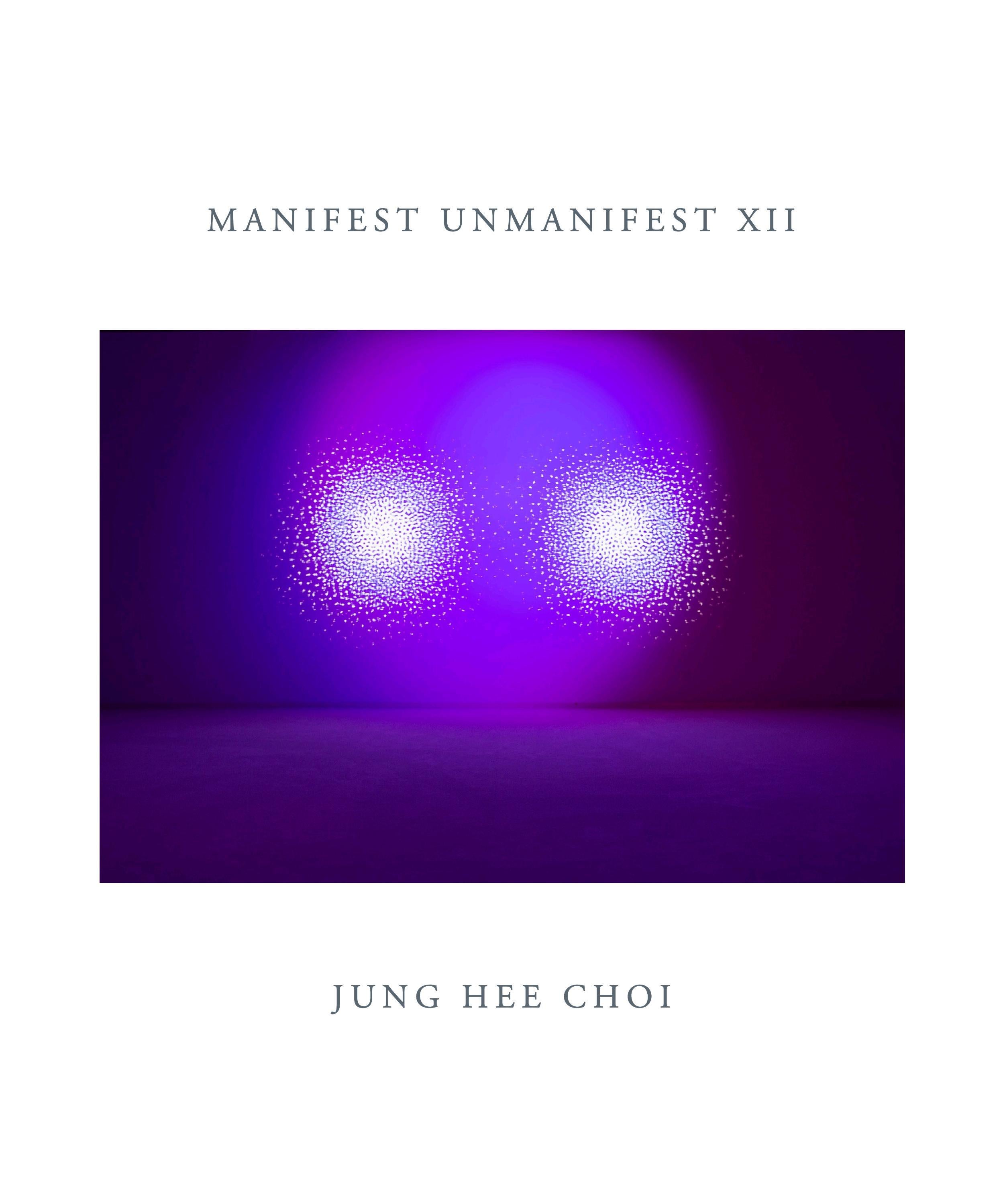 Jung Hee Choi: Manifest Unmanifest XII by The Sylvia Wald and Po Kim ...