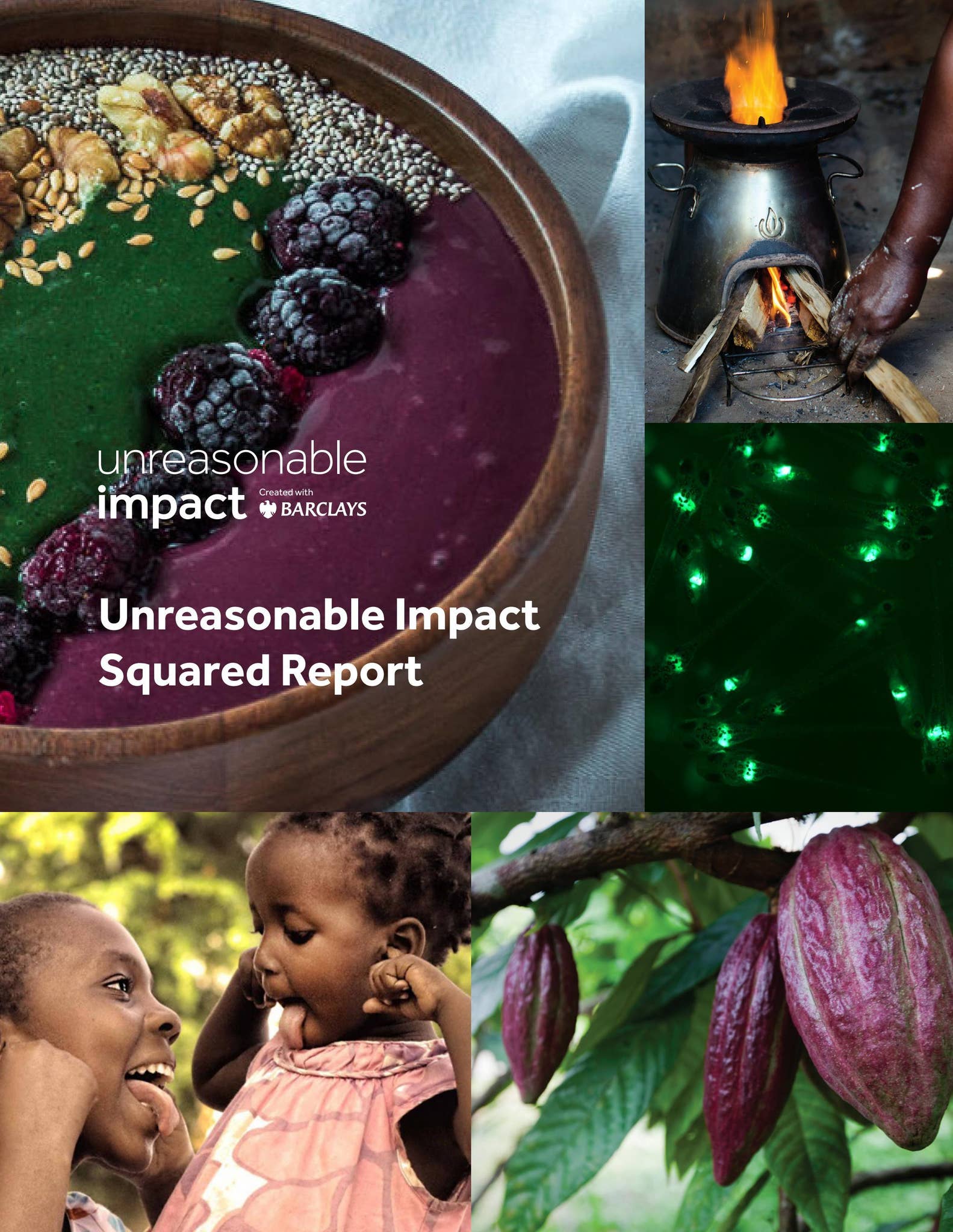 Unreasonable Impact Squared Report by Unreasonable Group - Issuu