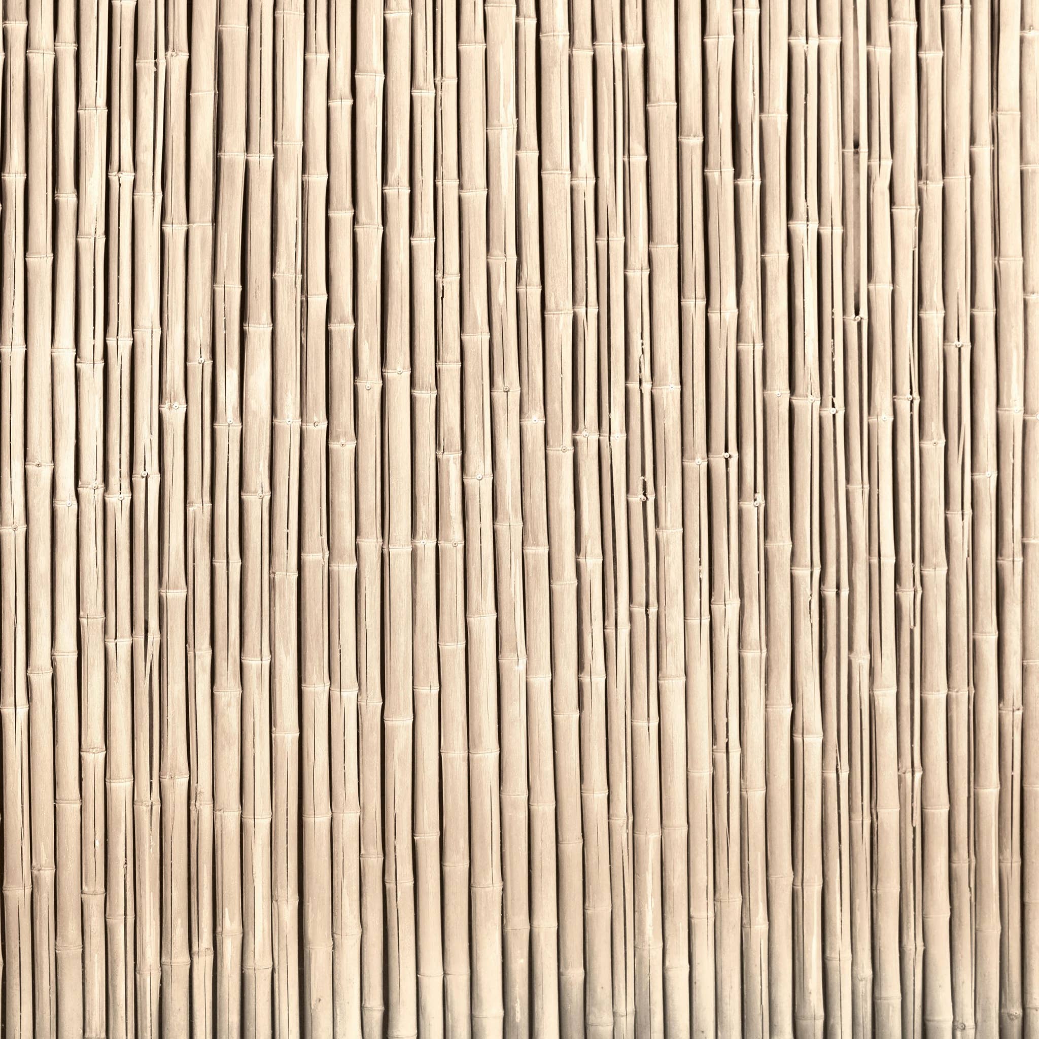 Totally Tonal Zoo Textures Paper Pack by Creative Memories - Issuu