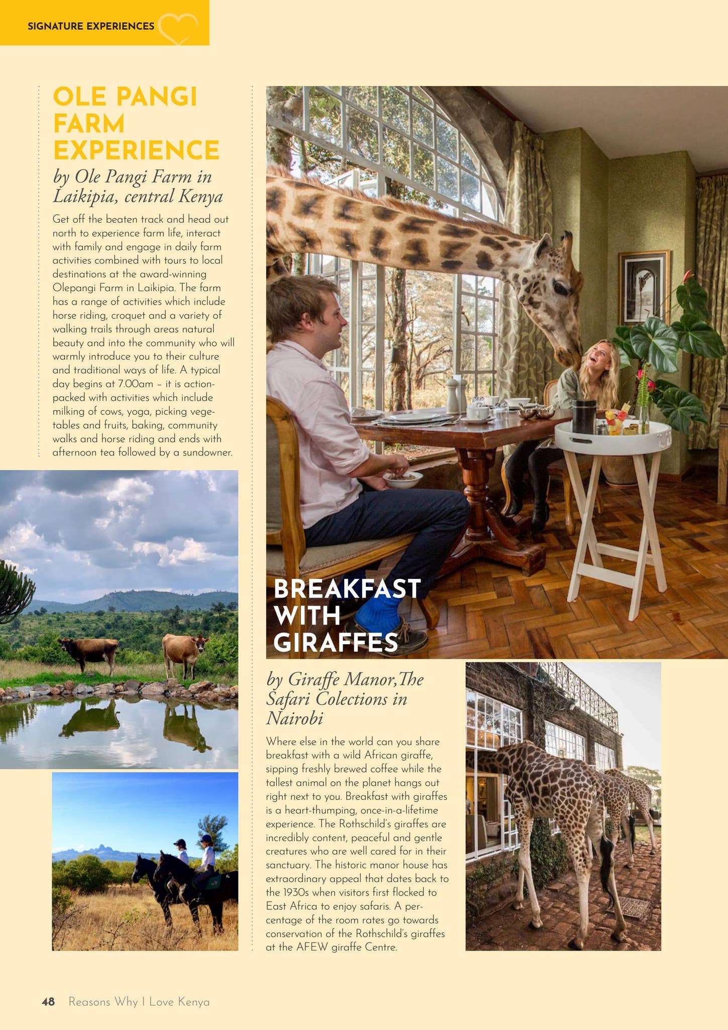 Reasons Why I Love Kenya magazine by Land & Marine Publications Ltd ...