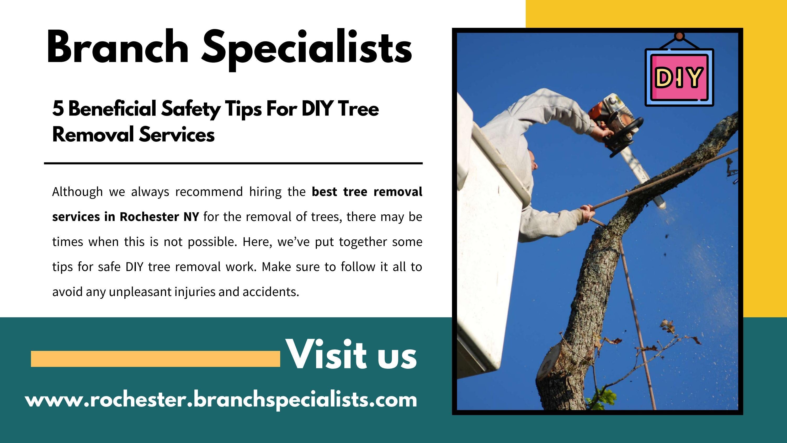 5 Beneficial Safety Tips For DIY Tree Removal Services by Branch ...