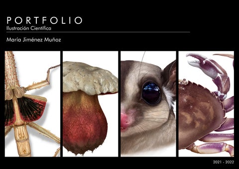 Scientific Illustration Portfolio - Maria Jimenez by ...