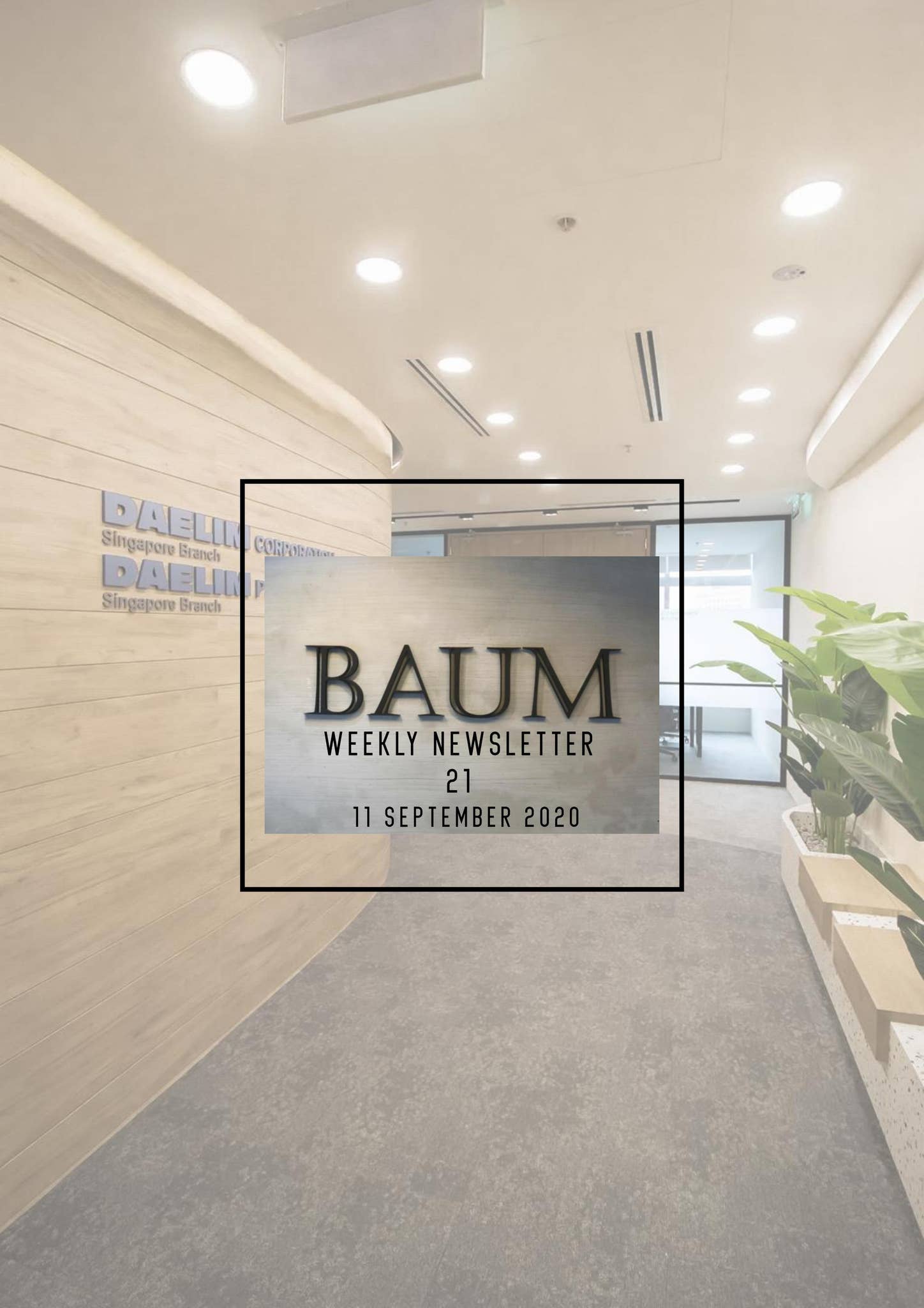 BAUM NEWSLETTER 21 - OFFICE DESIGN PROCESS by BAUM PROJECT - Issuu