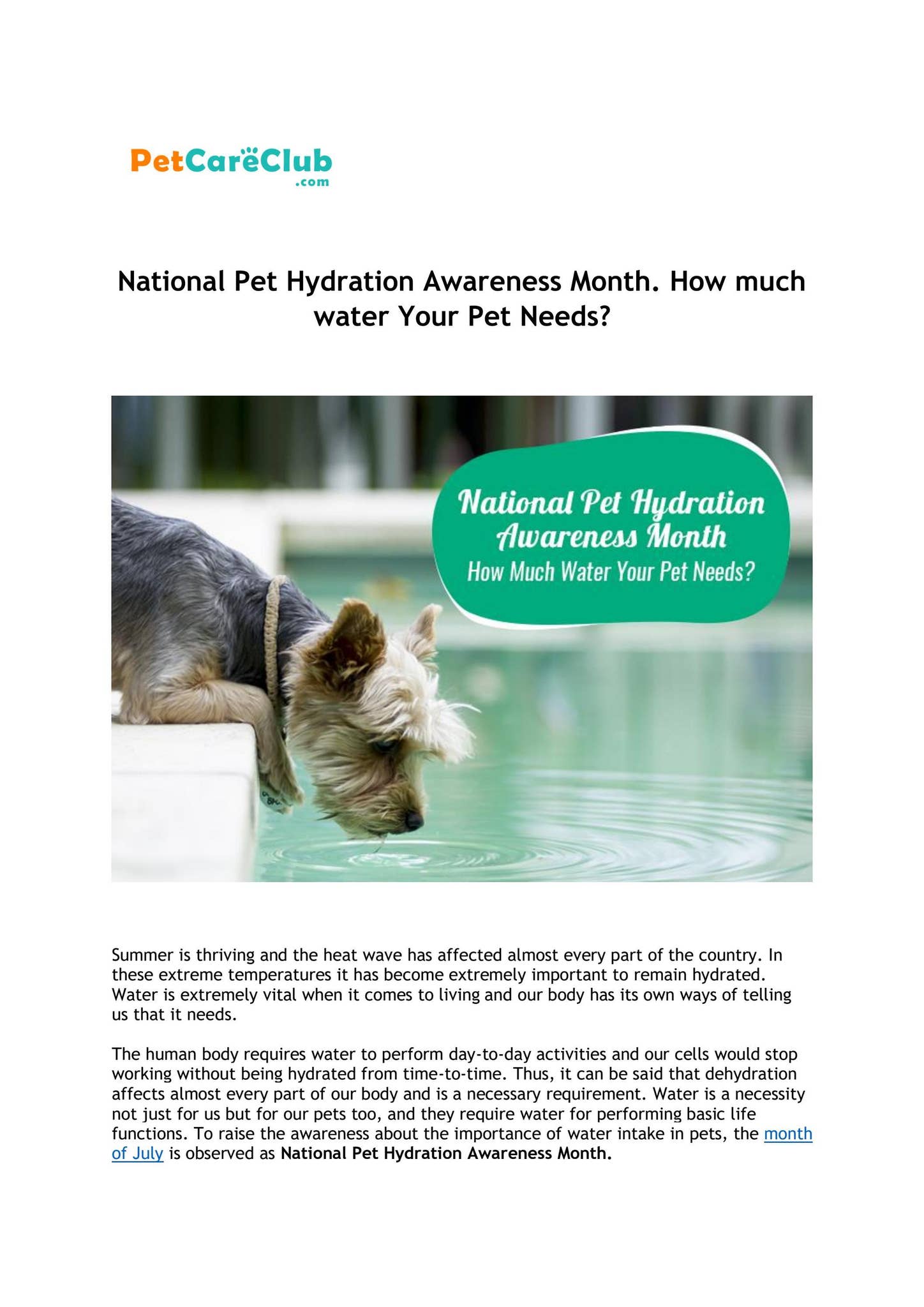 National Pet Hydration Awareness Month. How much water Your Pet Needs ...